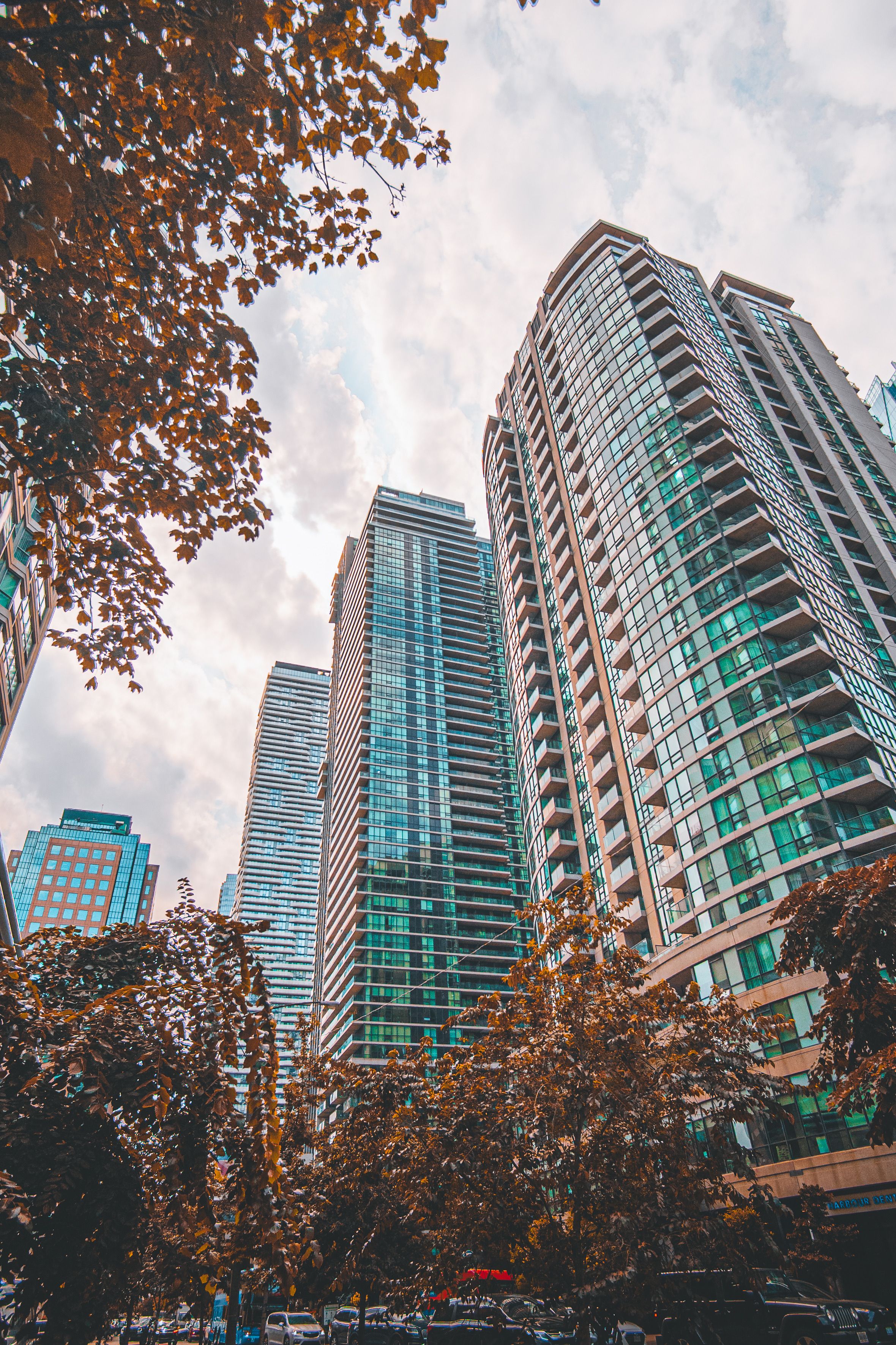 Low Angle Shot of High Rise Buildings in a City · Free Stock Photo