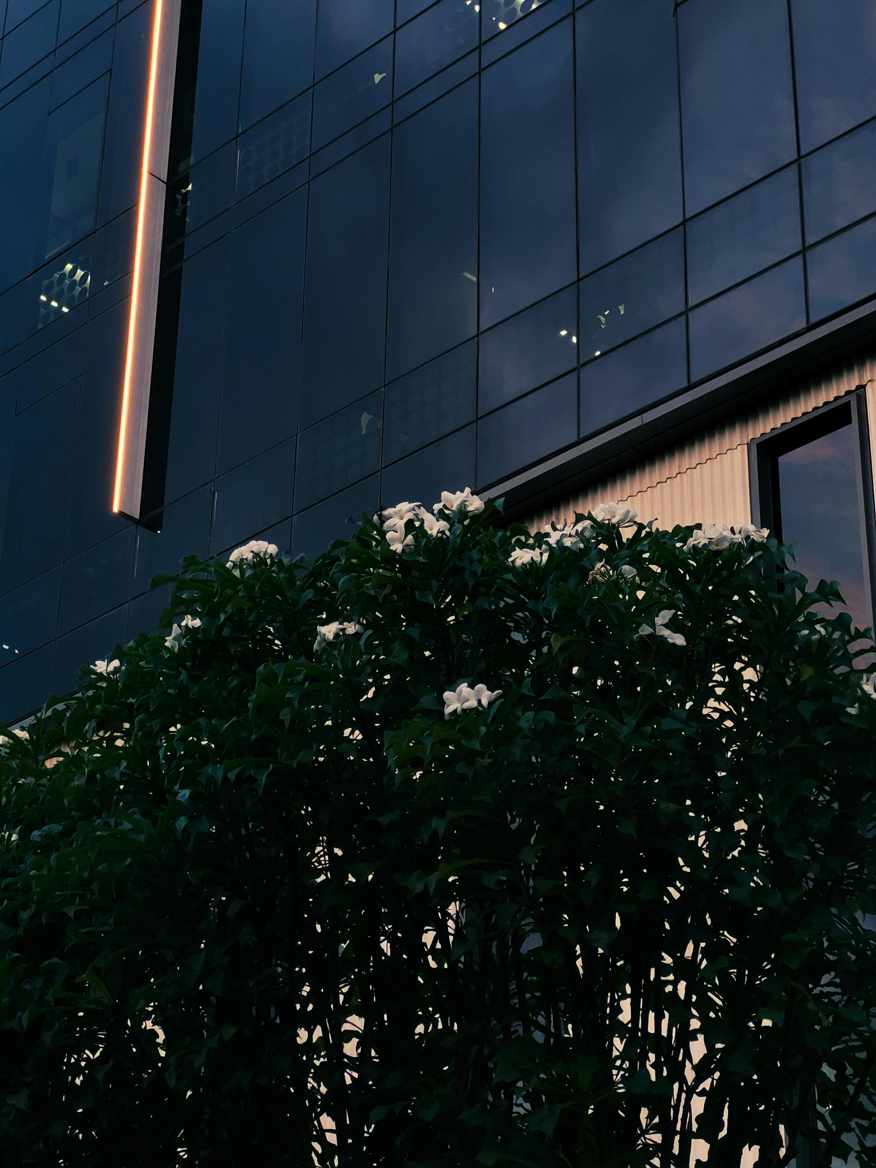 Sreerag Sreeni - Fotografie