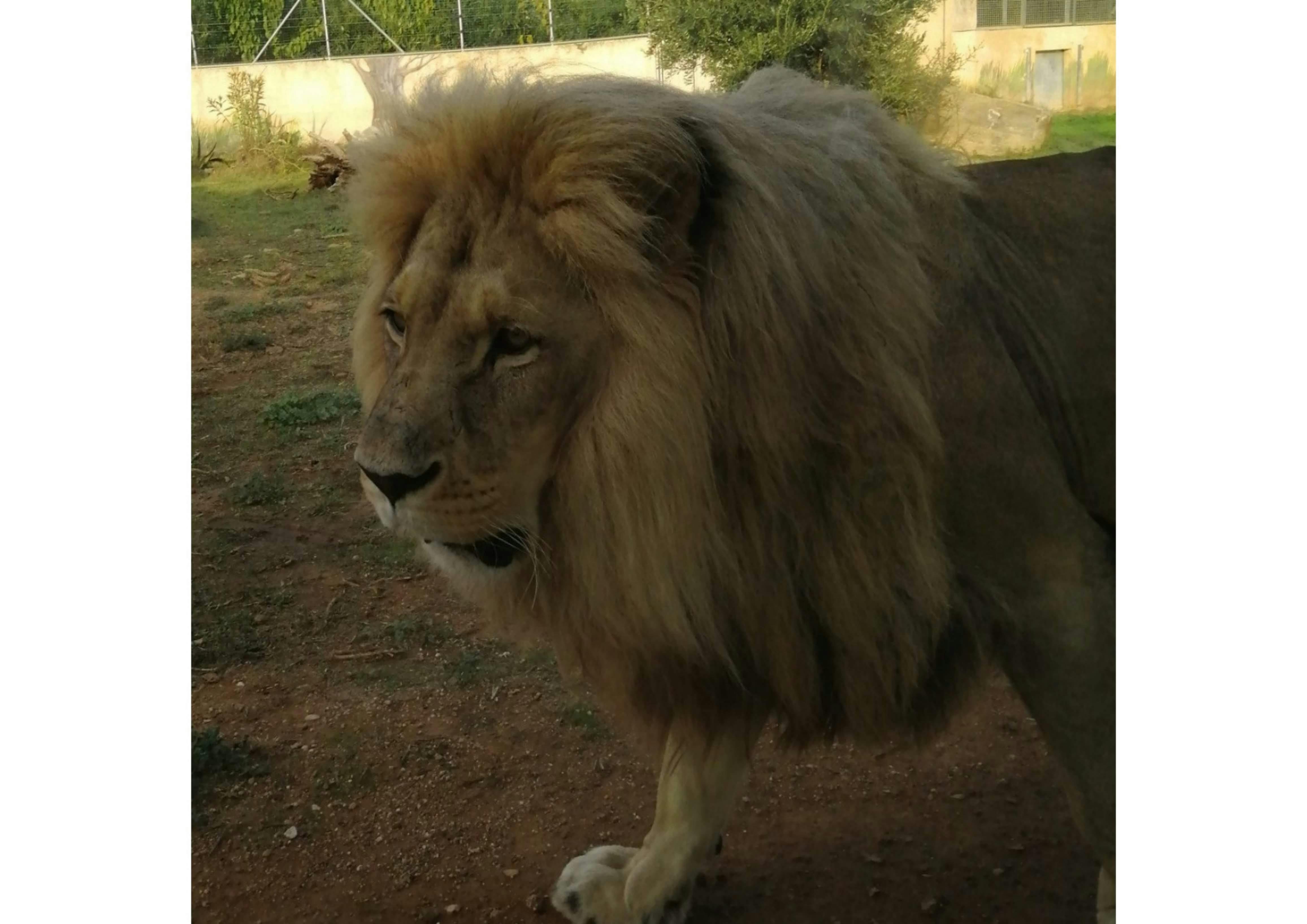 Jim Zafiris - 摄影