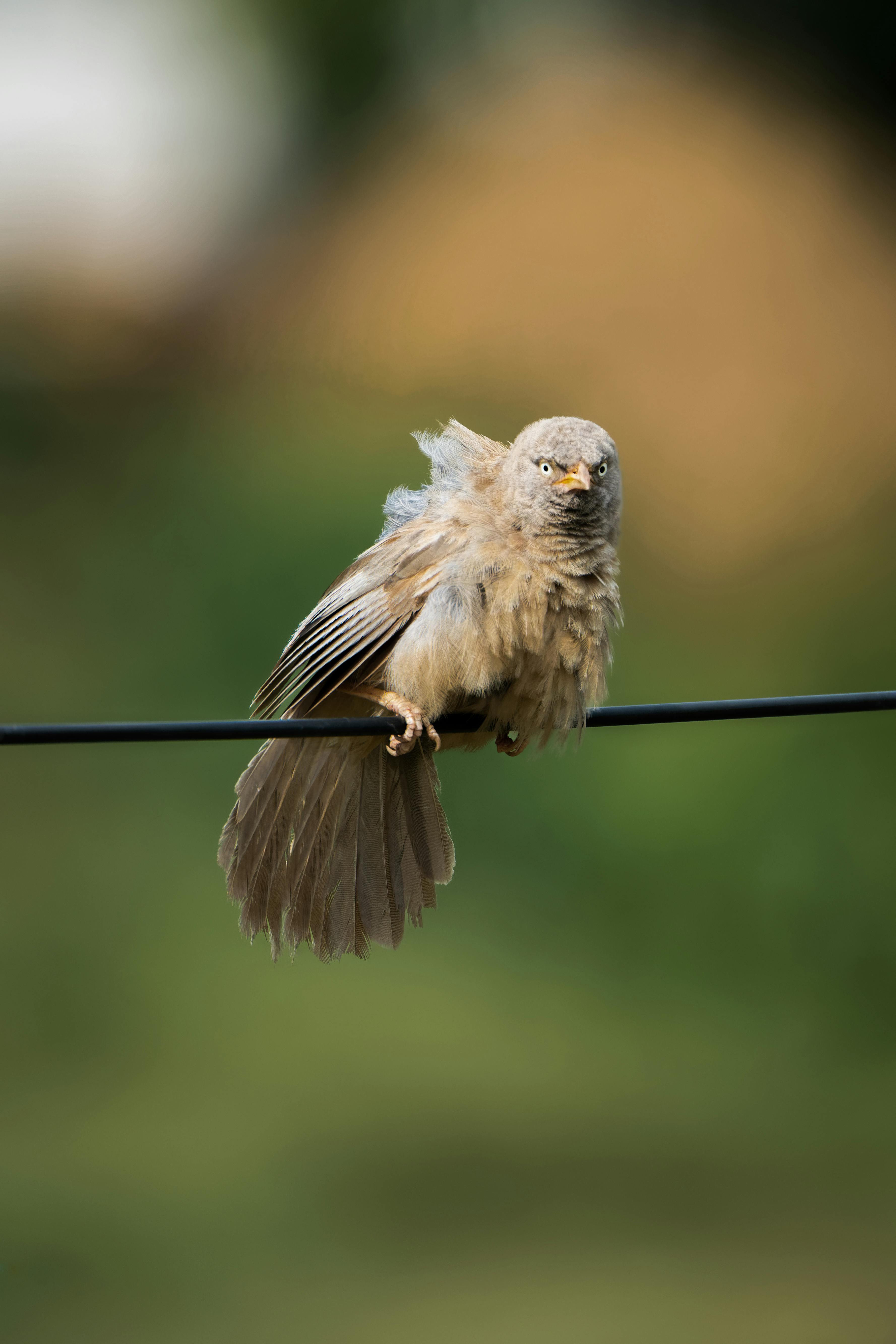 Ecosystem 4k Photos, Download The BEST Free Ecosystem 4k Stock Photos ...