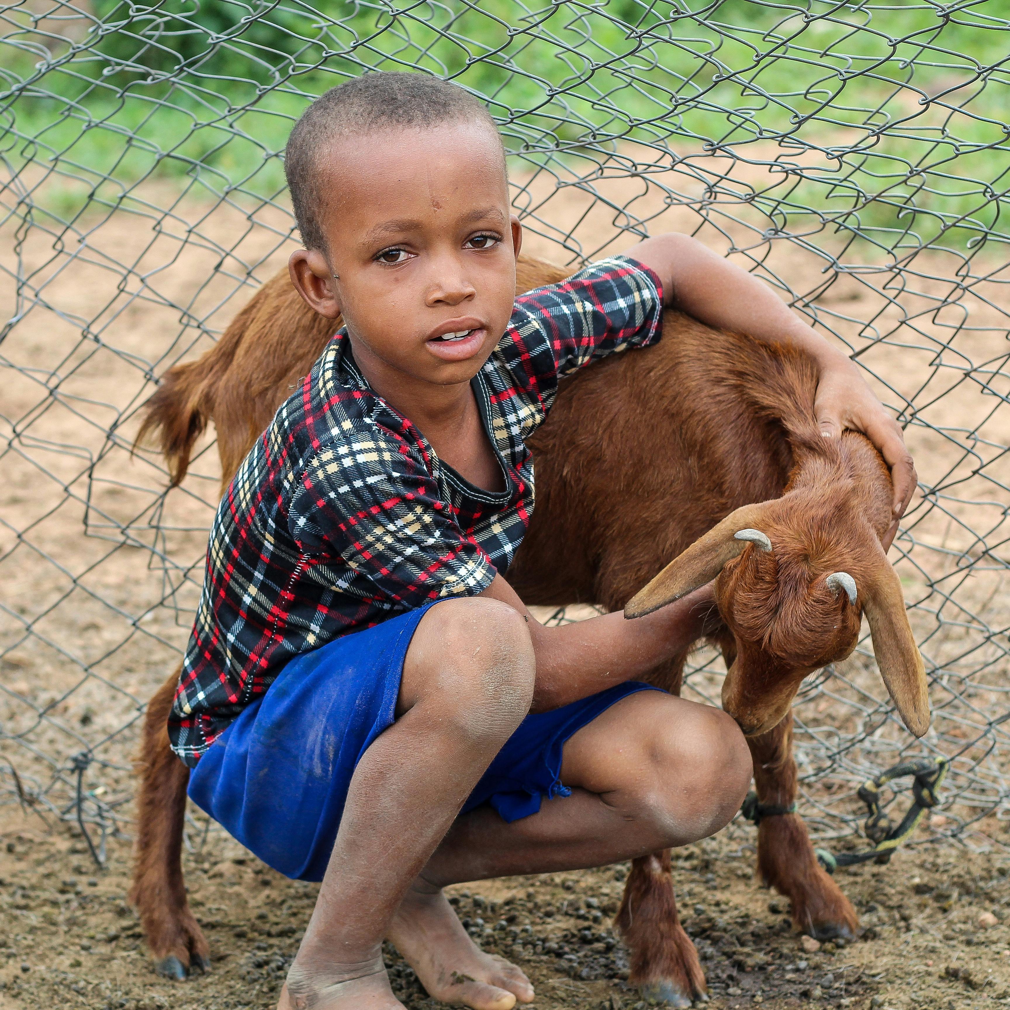 Young Boy Hugging Baby Goat · Free Stock Photo