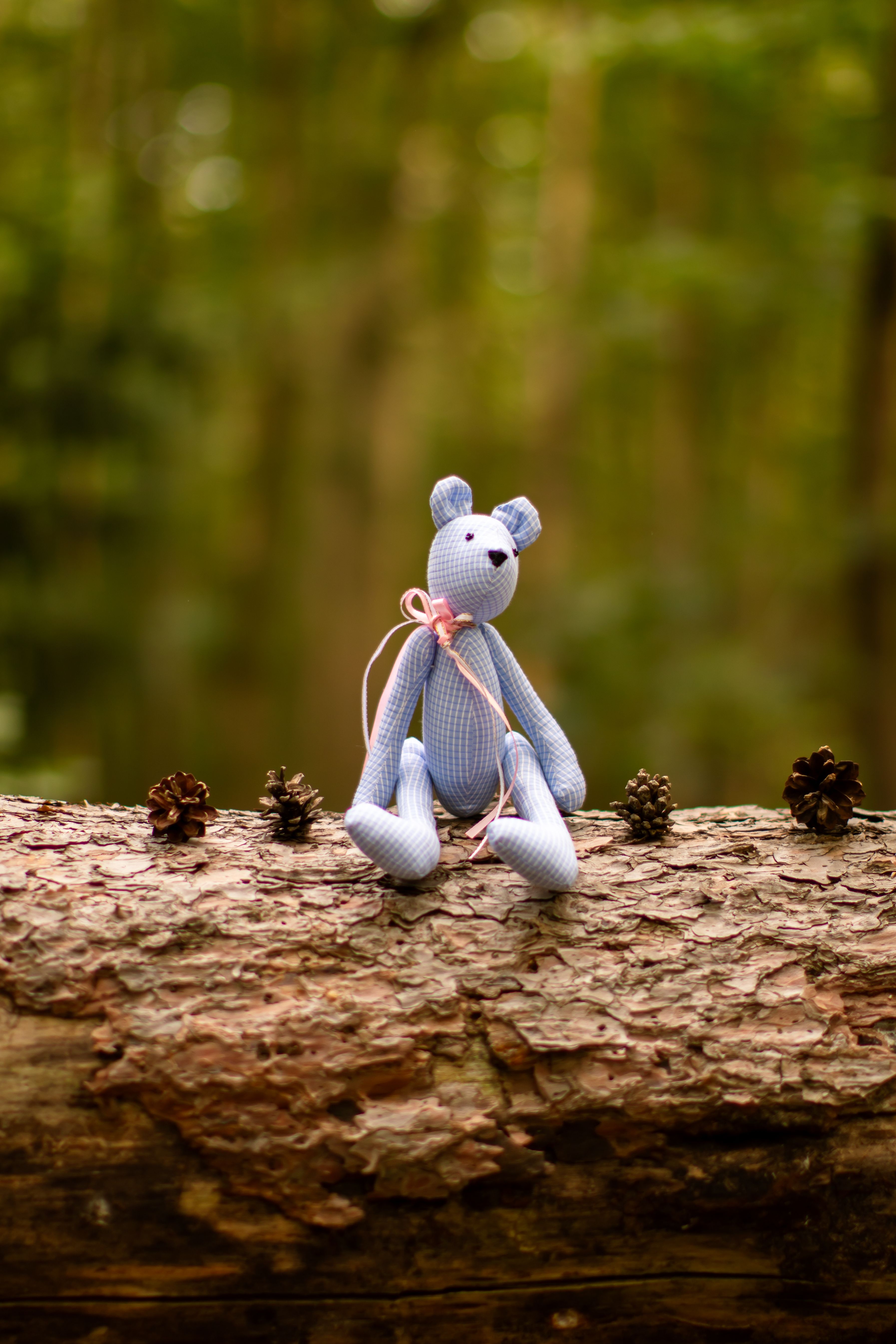 Gray Bear Plush Toy on Green Grass during Daytime · Free Stock Photo