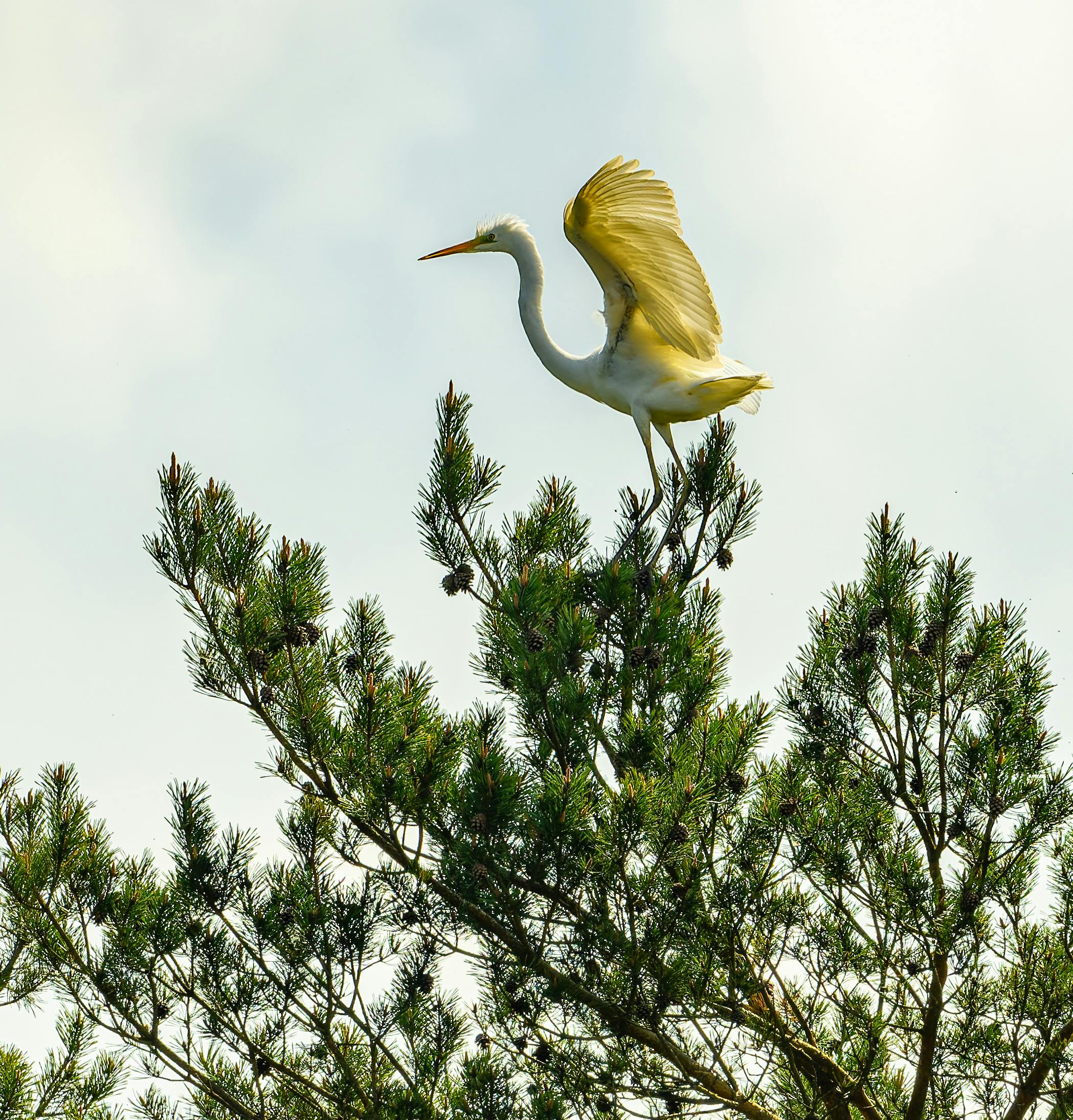 Landing Page Photos, Download The BEST Free Landing Page Stock Photos ...