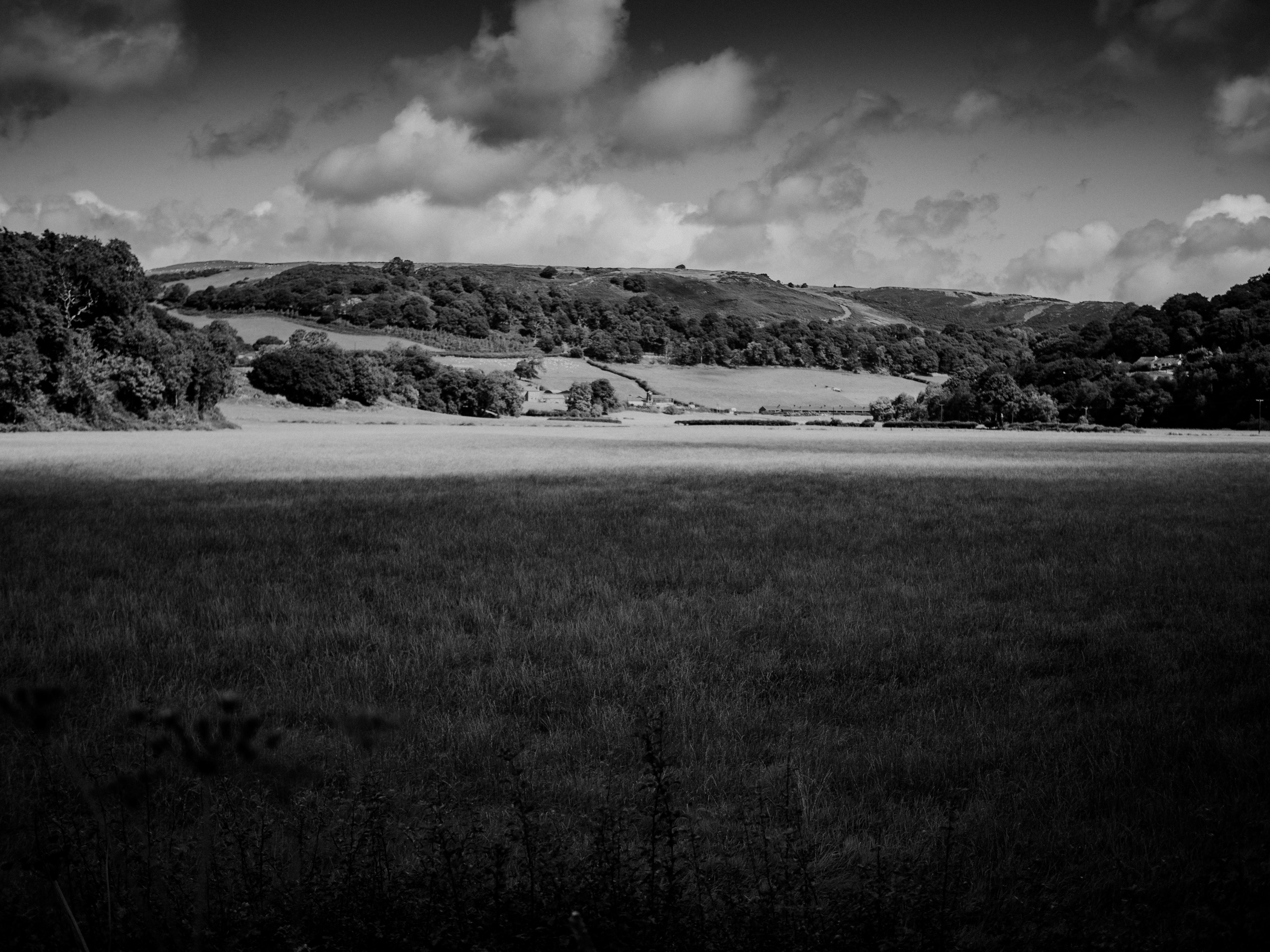 Grassland in Countryside in Black and White · Free Stock Photo
