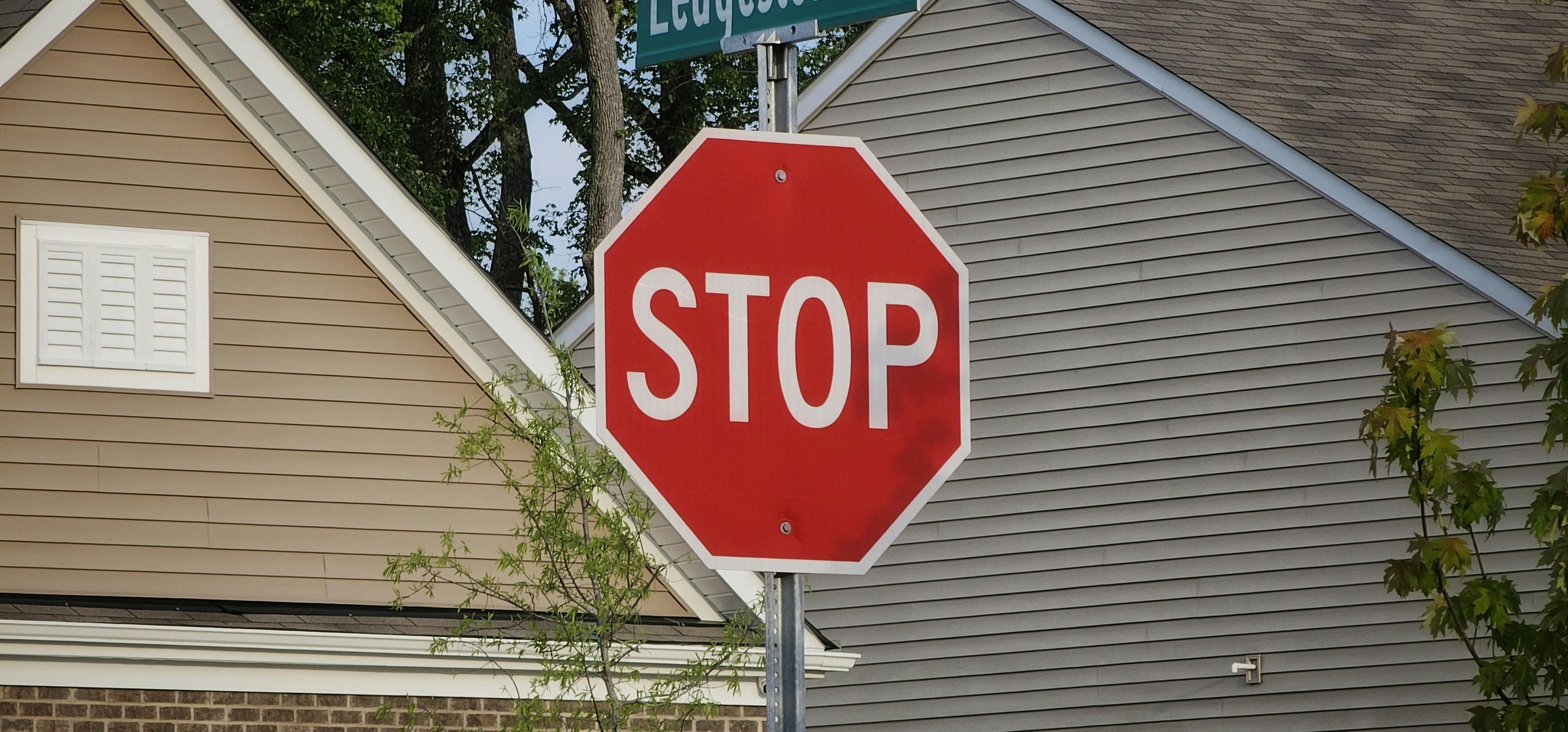 Tobin Philip Rabytfox - Photographie