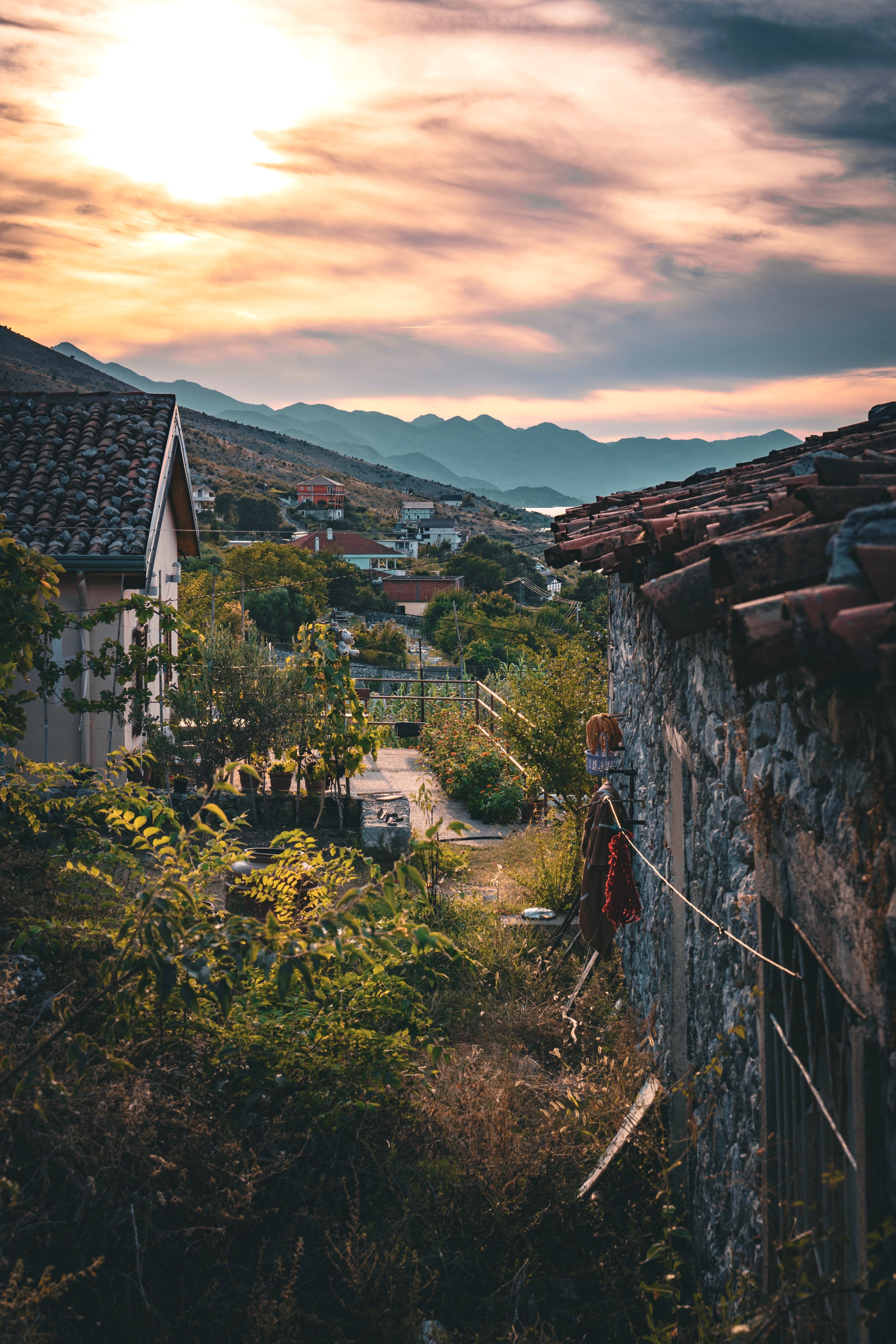 Shirok Photos, Download The BEST Free Shirok Stock Photos & HD Images