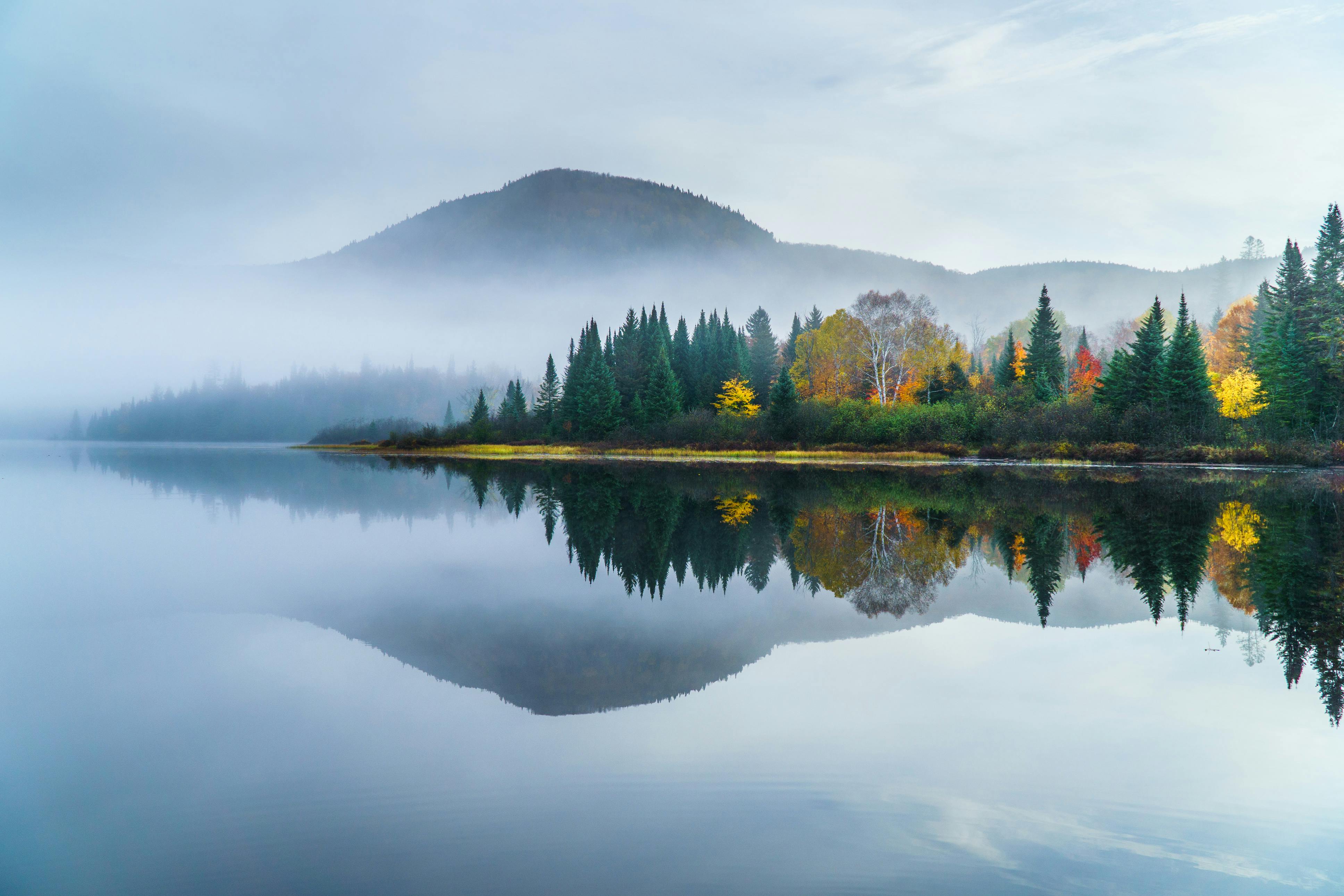 Fog over Lake · Free Stock Photo