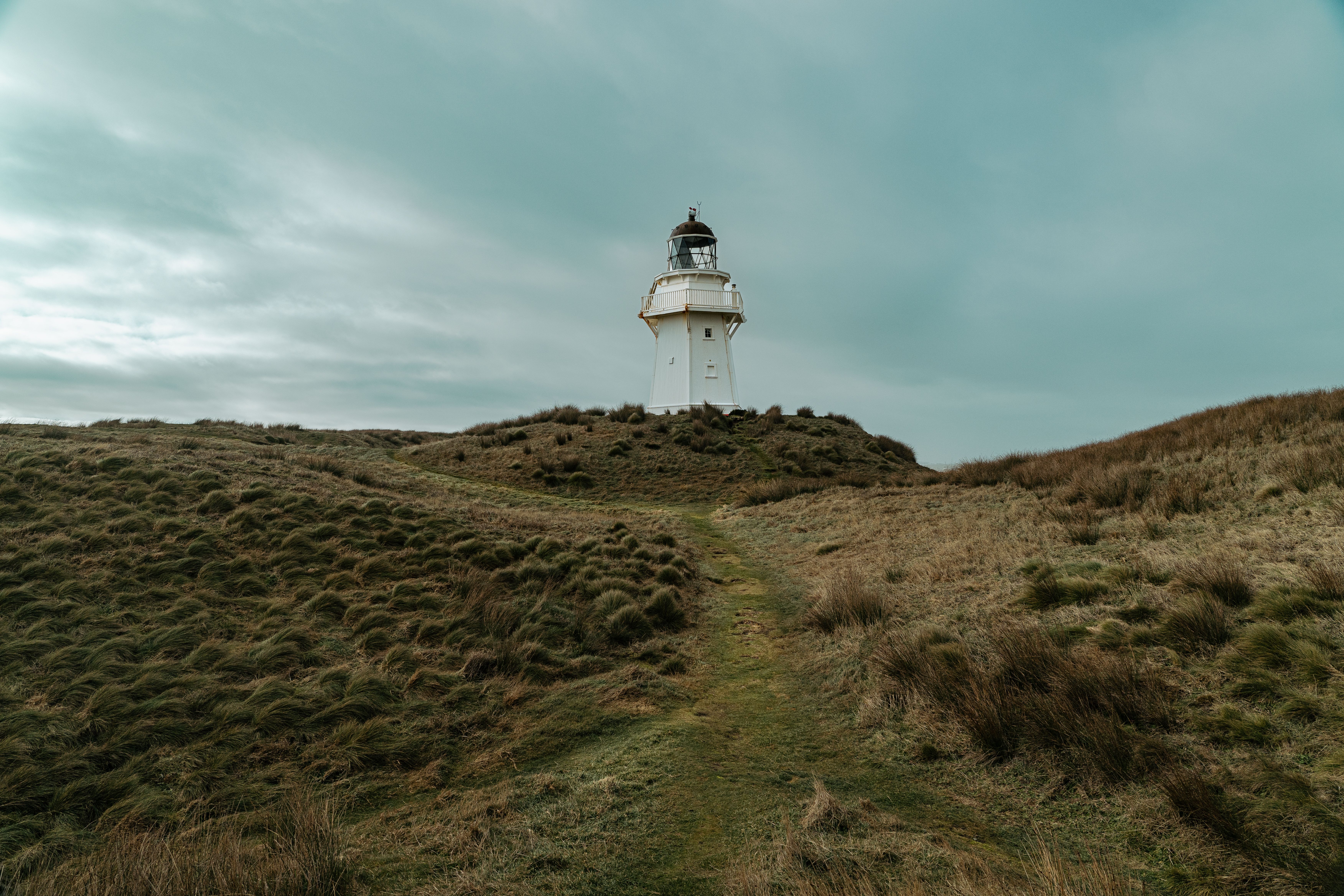 Photo of the Waipapa Point, South Island, New Zealand · Free Stock Photo