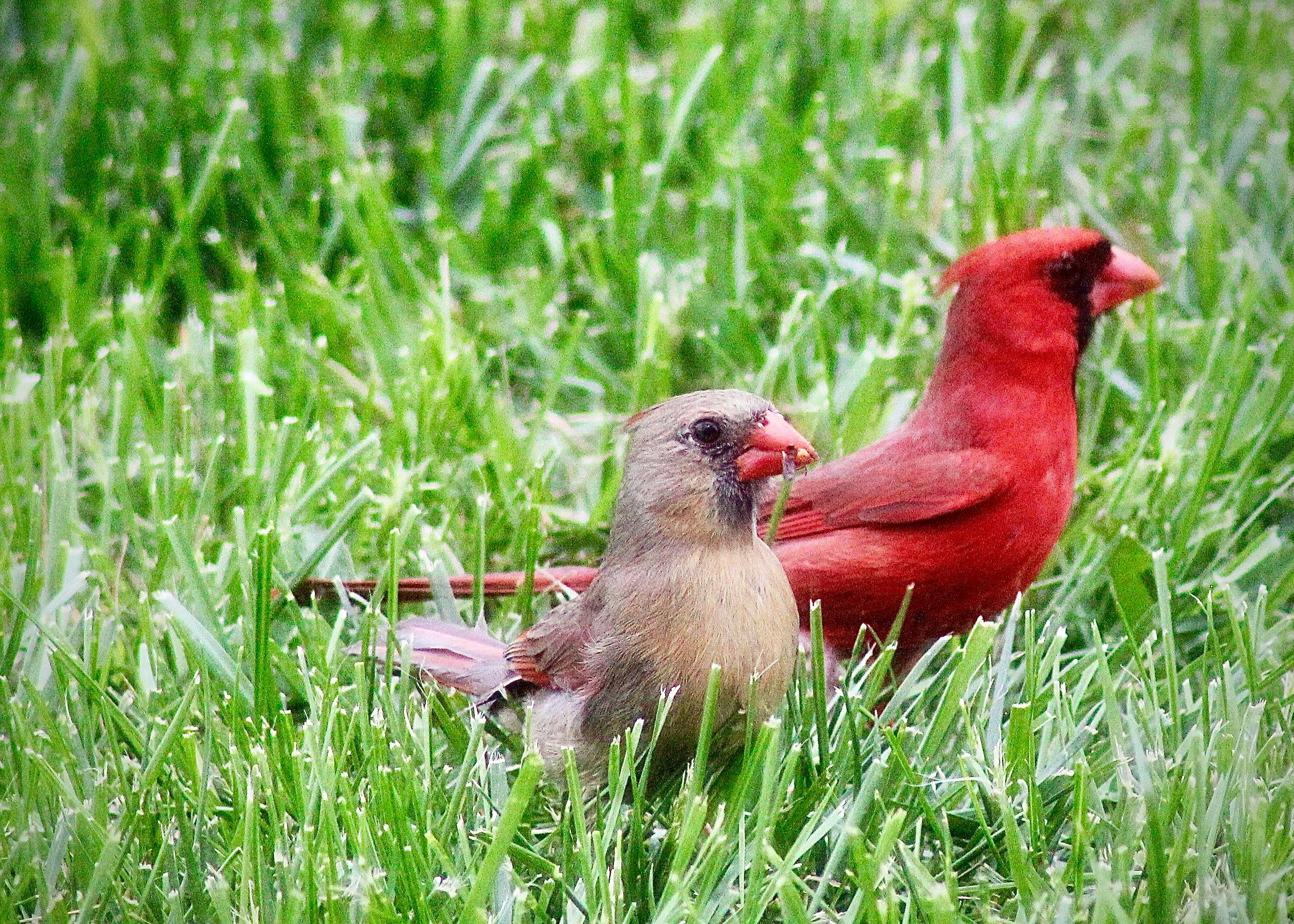 Courtney Stephens - fotografia