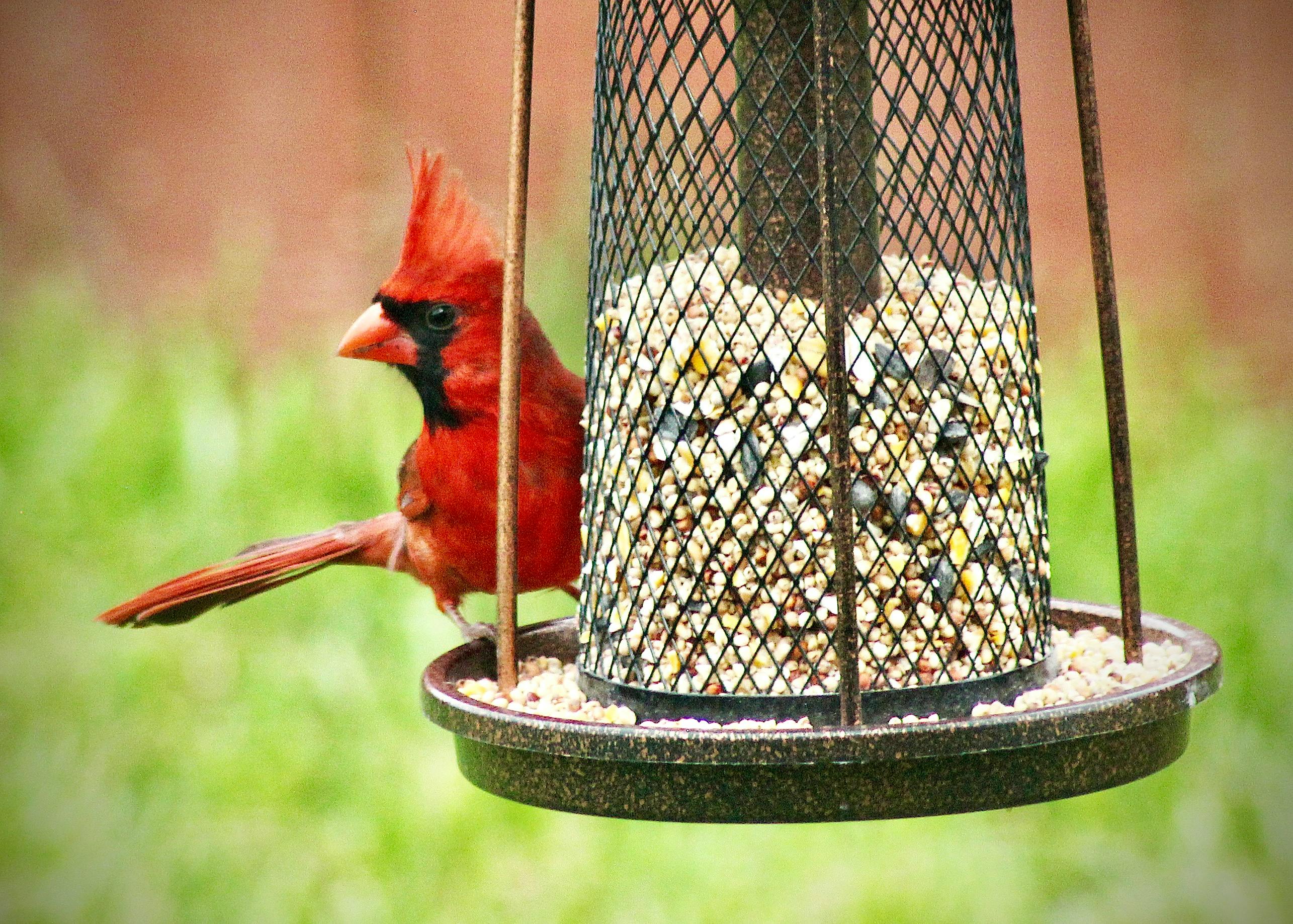 Courtney Stephens - Fotografía