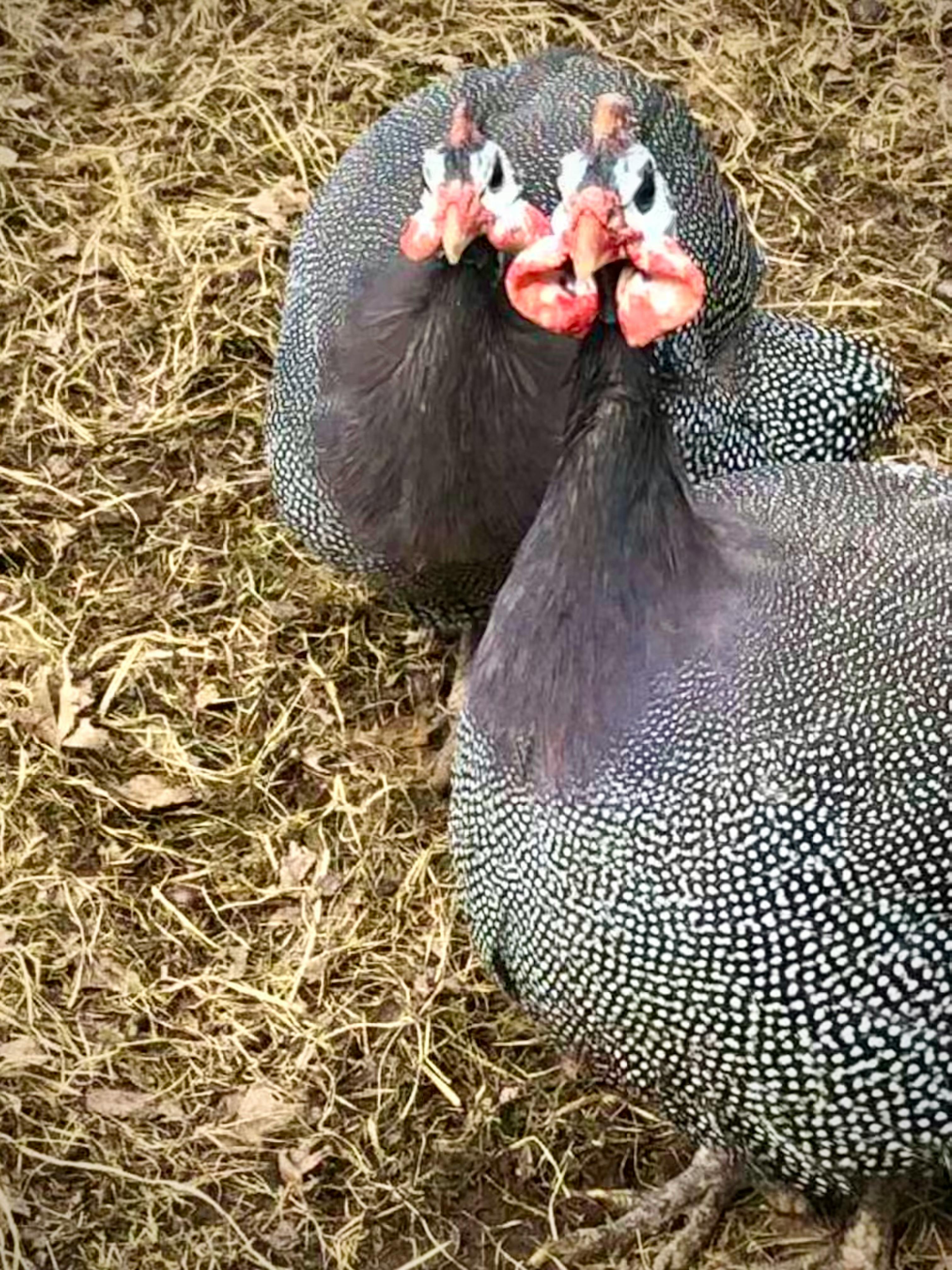 Courtney Stephens - fotografia