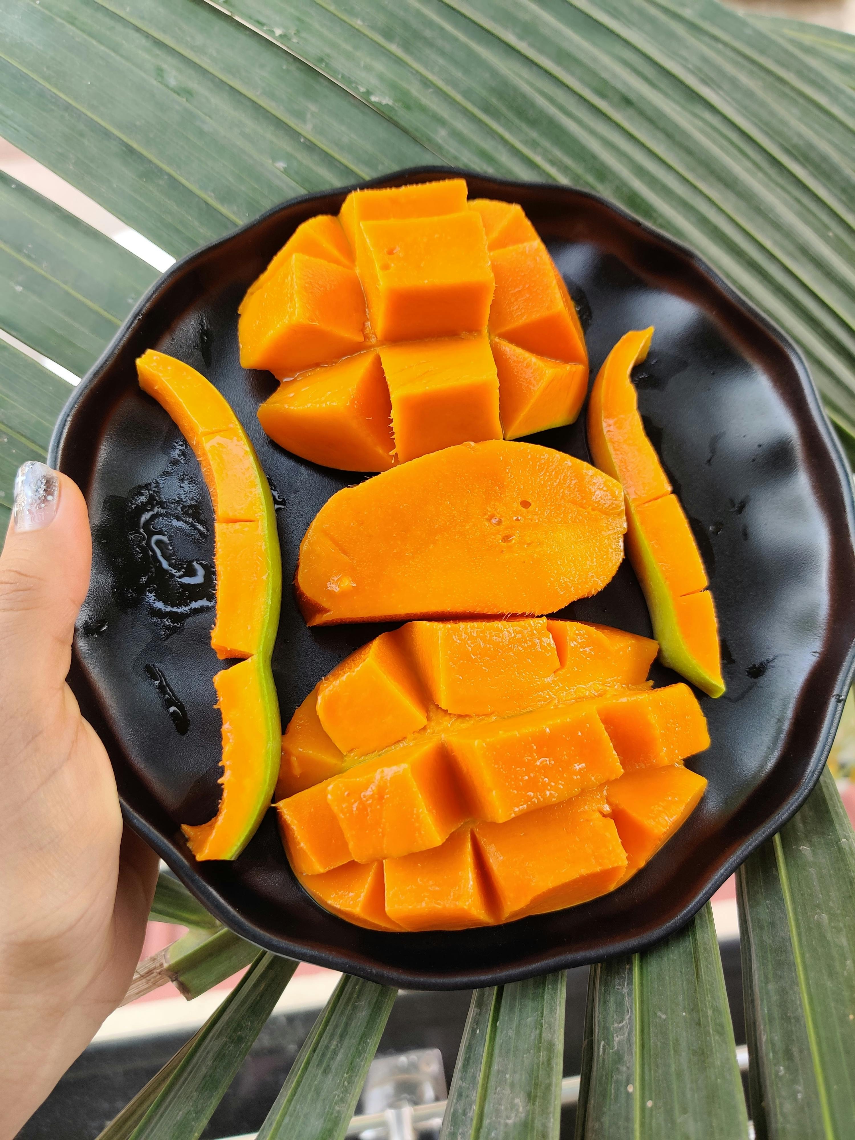 Disha Sheta - Photography