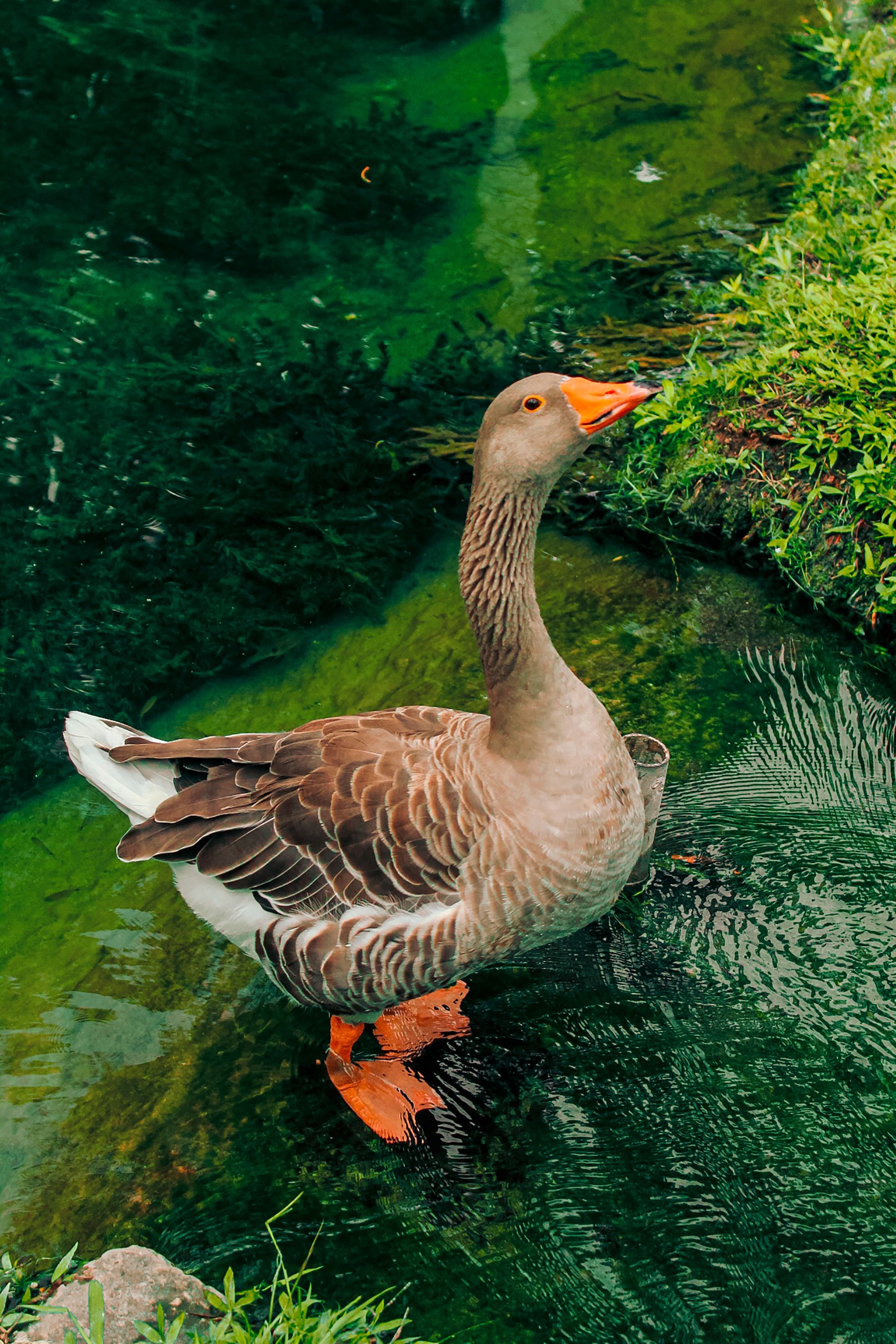 Every Animals Matter Photos, Download The BEST Free Every Animals ...
