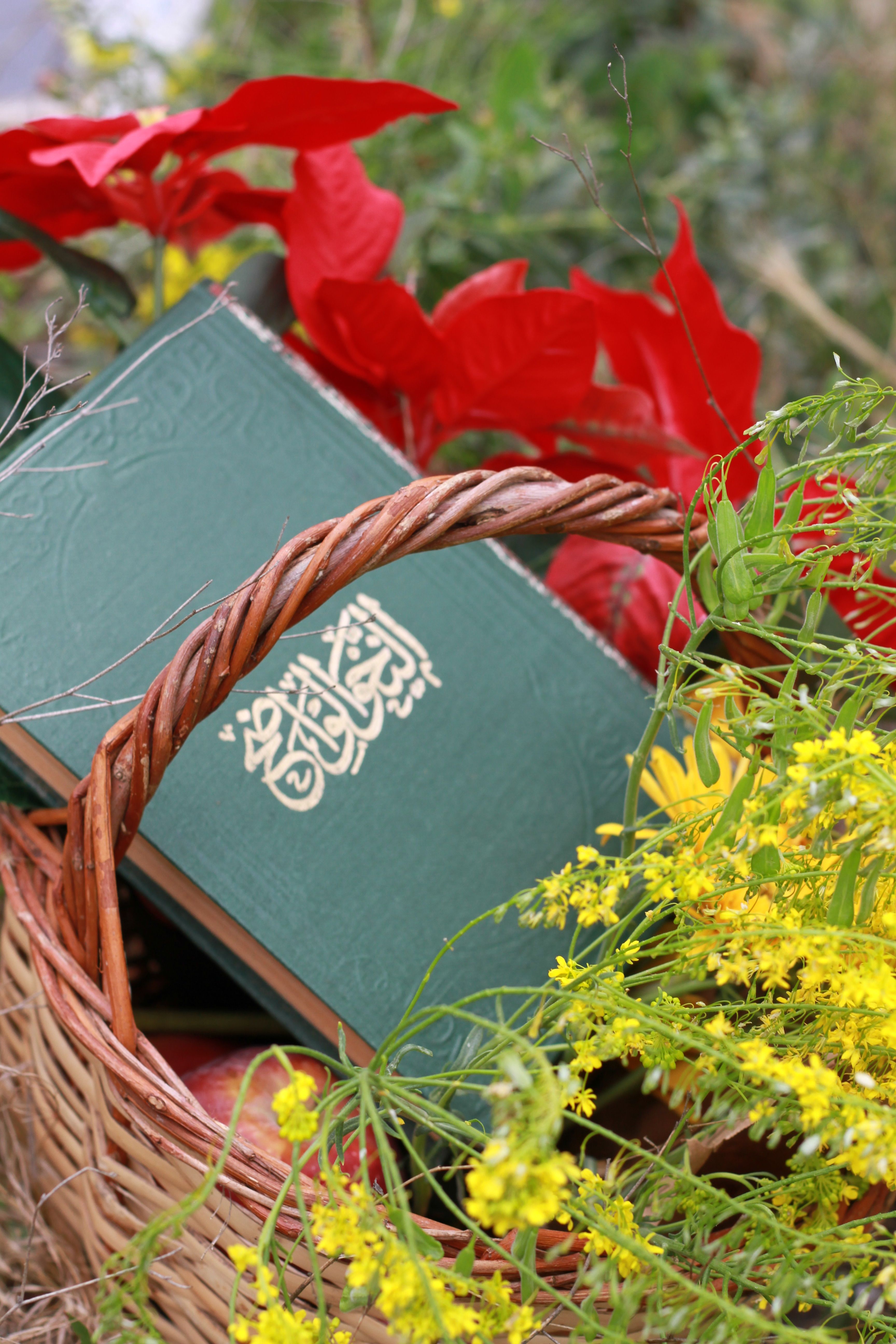 Traditional Book in a Basket · Free Stock Photo