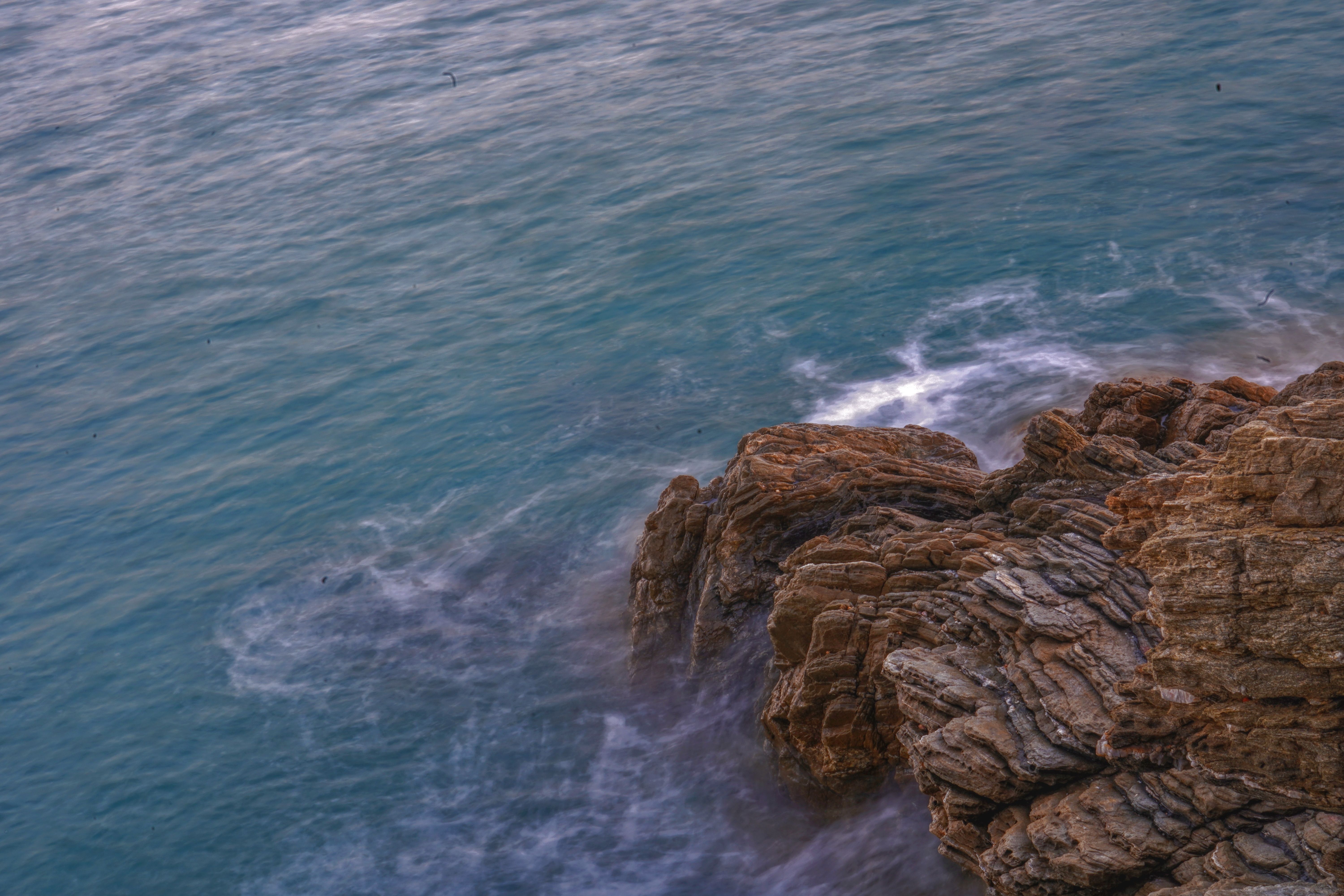 Surfare Negli Oceanic Photos, Download The BEST Free Surfare Negli ...