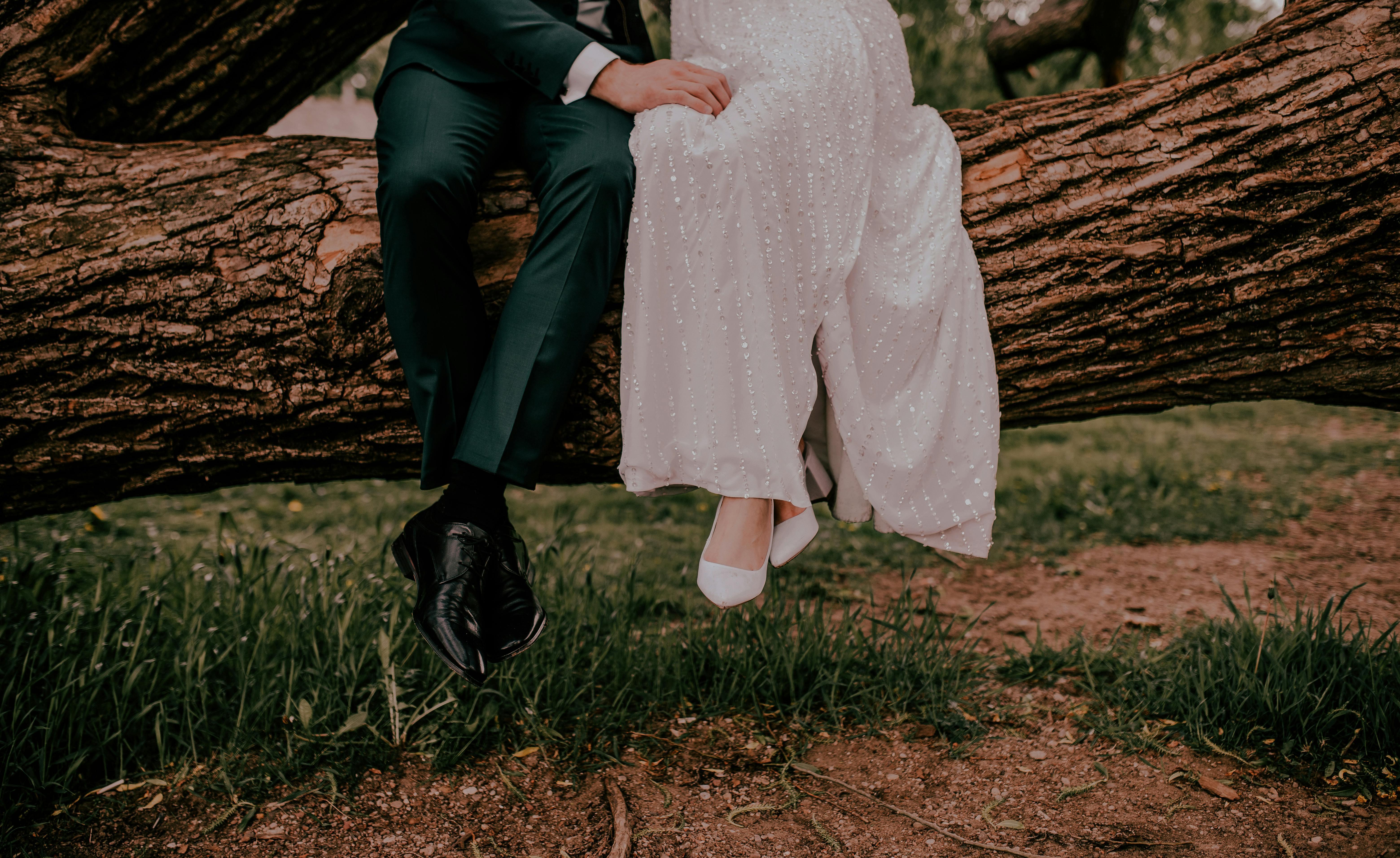 Newlywed Couple Sitting on Tree Branch · Free Stock Photo