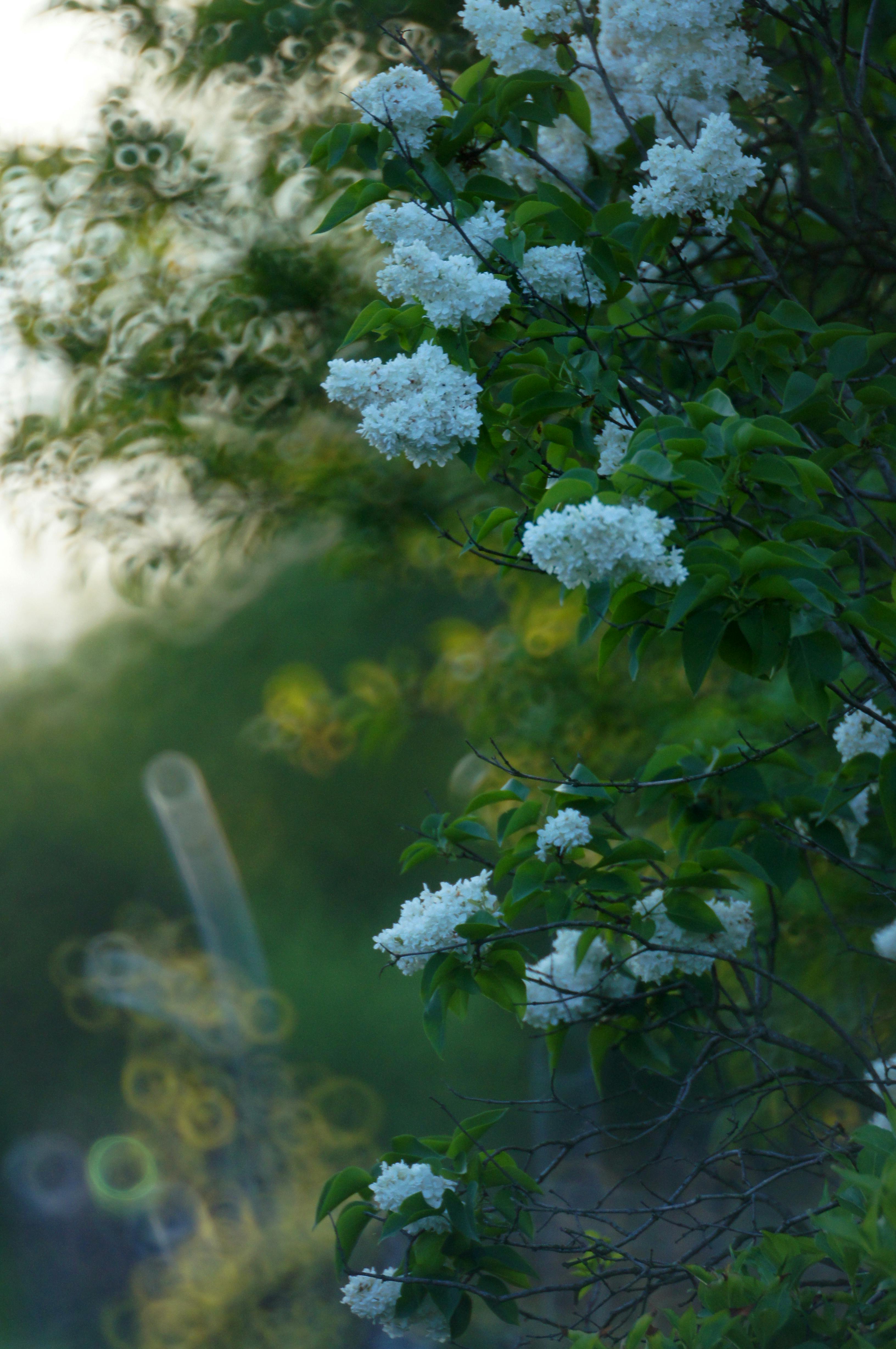 Beautifule Photos, Download The BEST Free Beautifule Stock Photos & HD ...