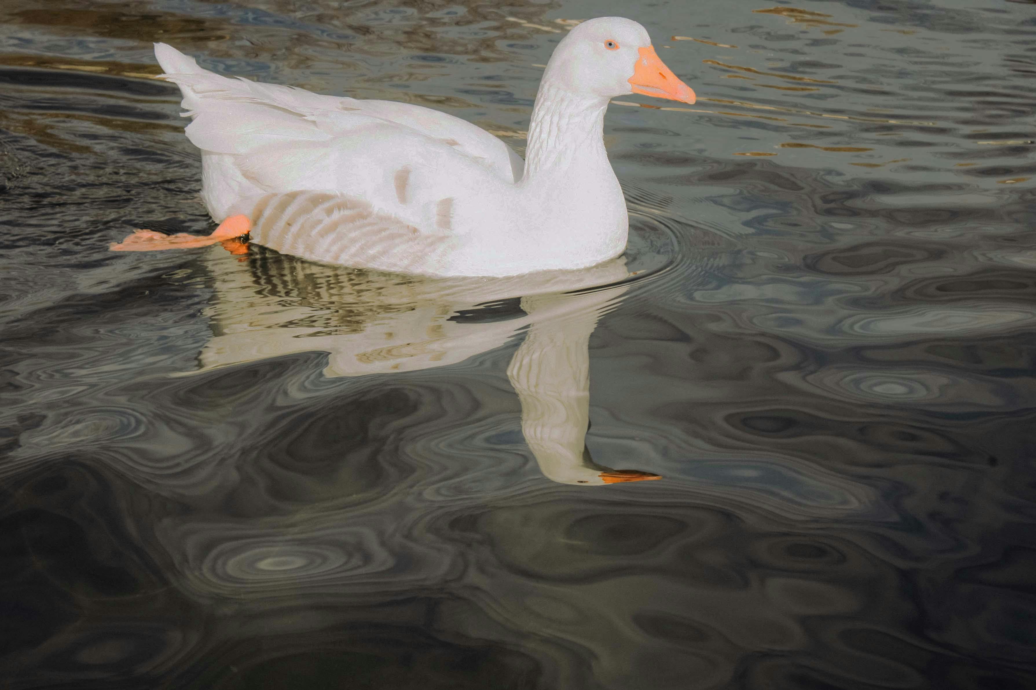 NUR DOĞAN - Photography