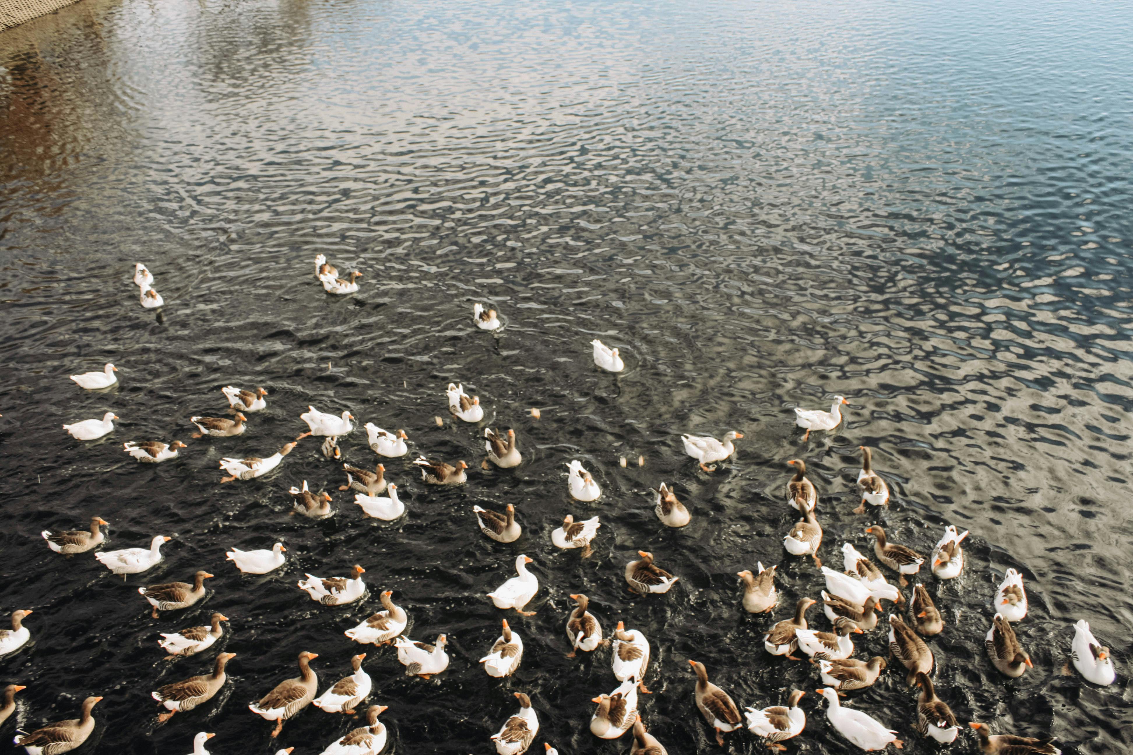 NUR DOĞAN - Photography