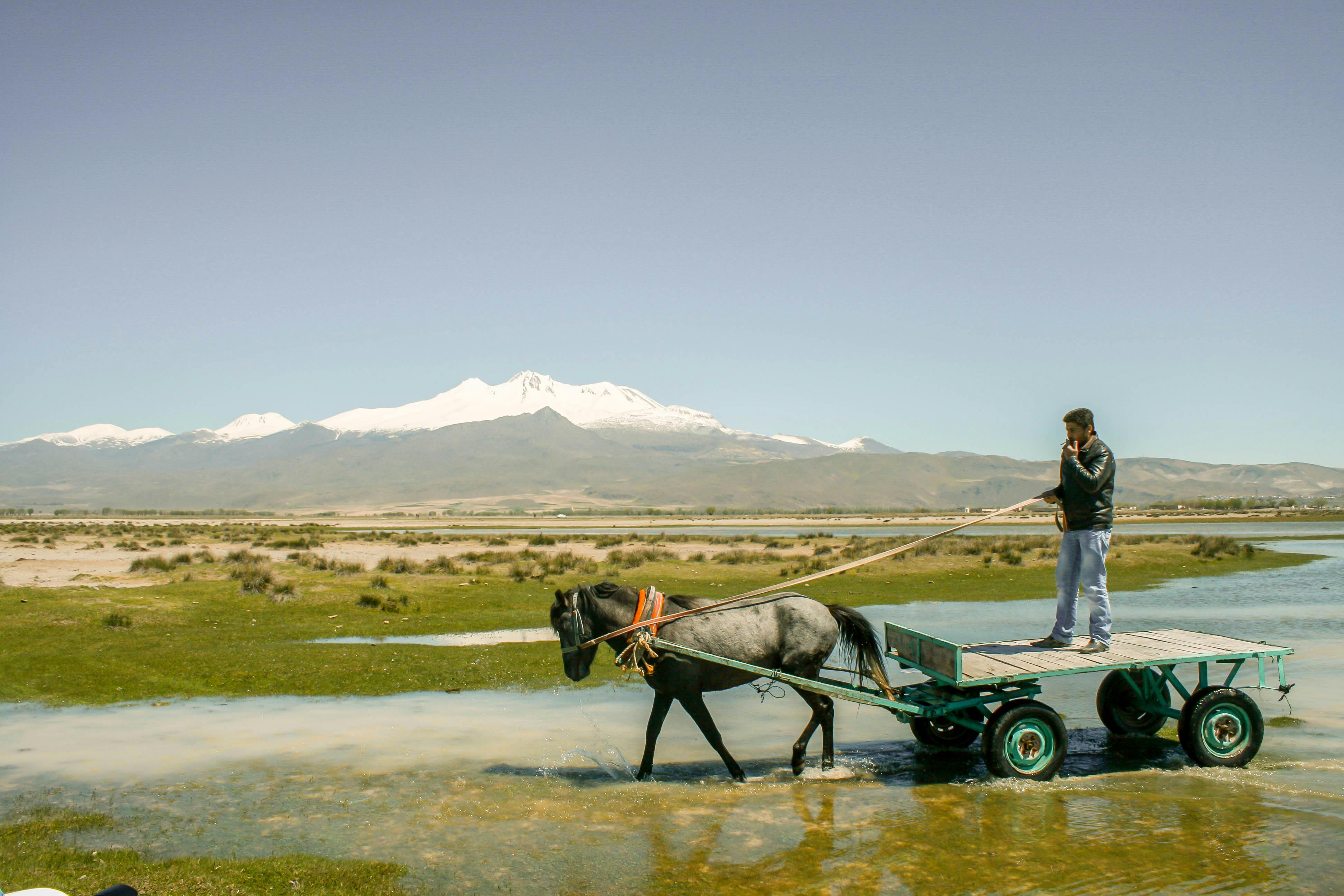 NUR DOĞAN - Photography