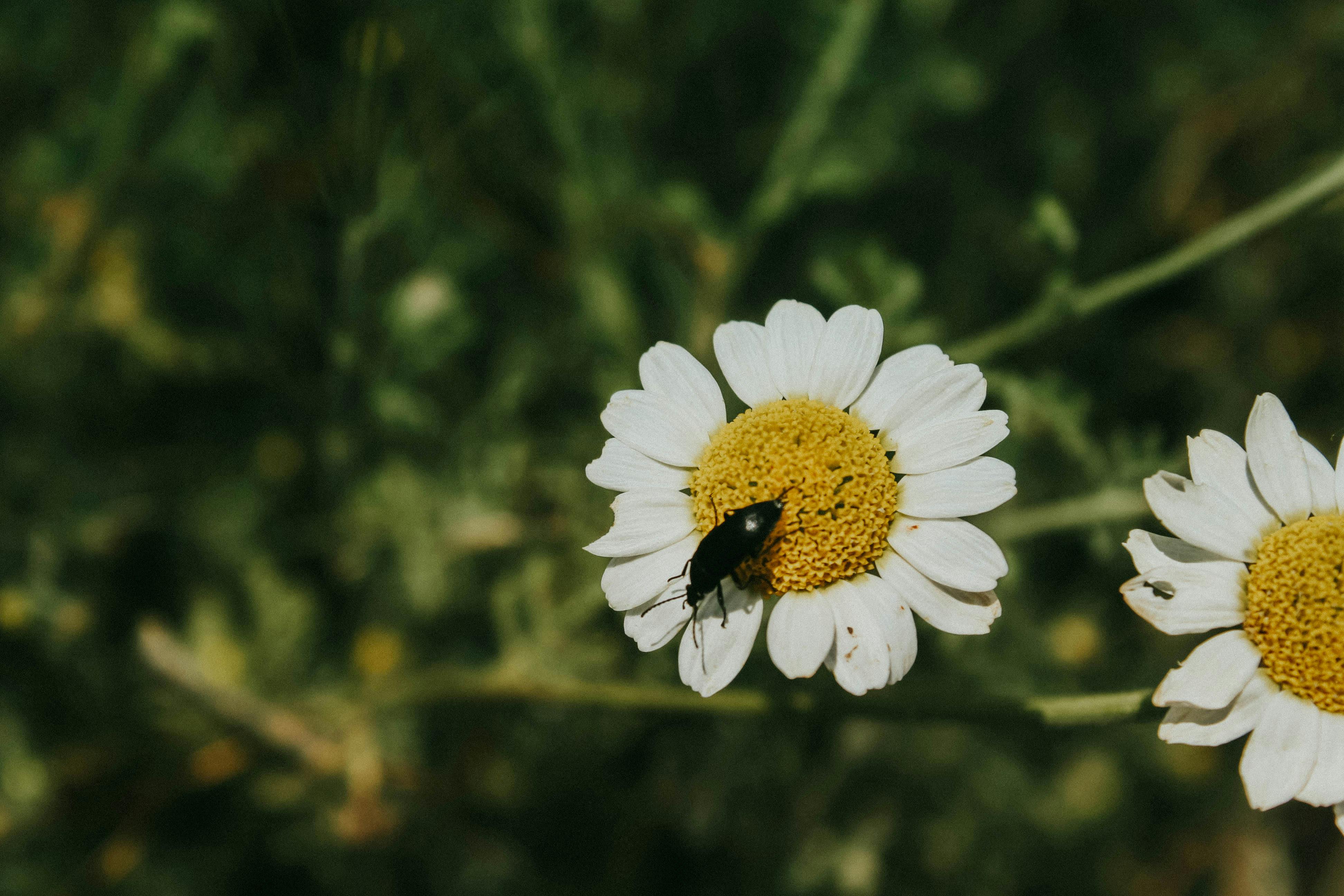 NUR DOĞAN - Photography