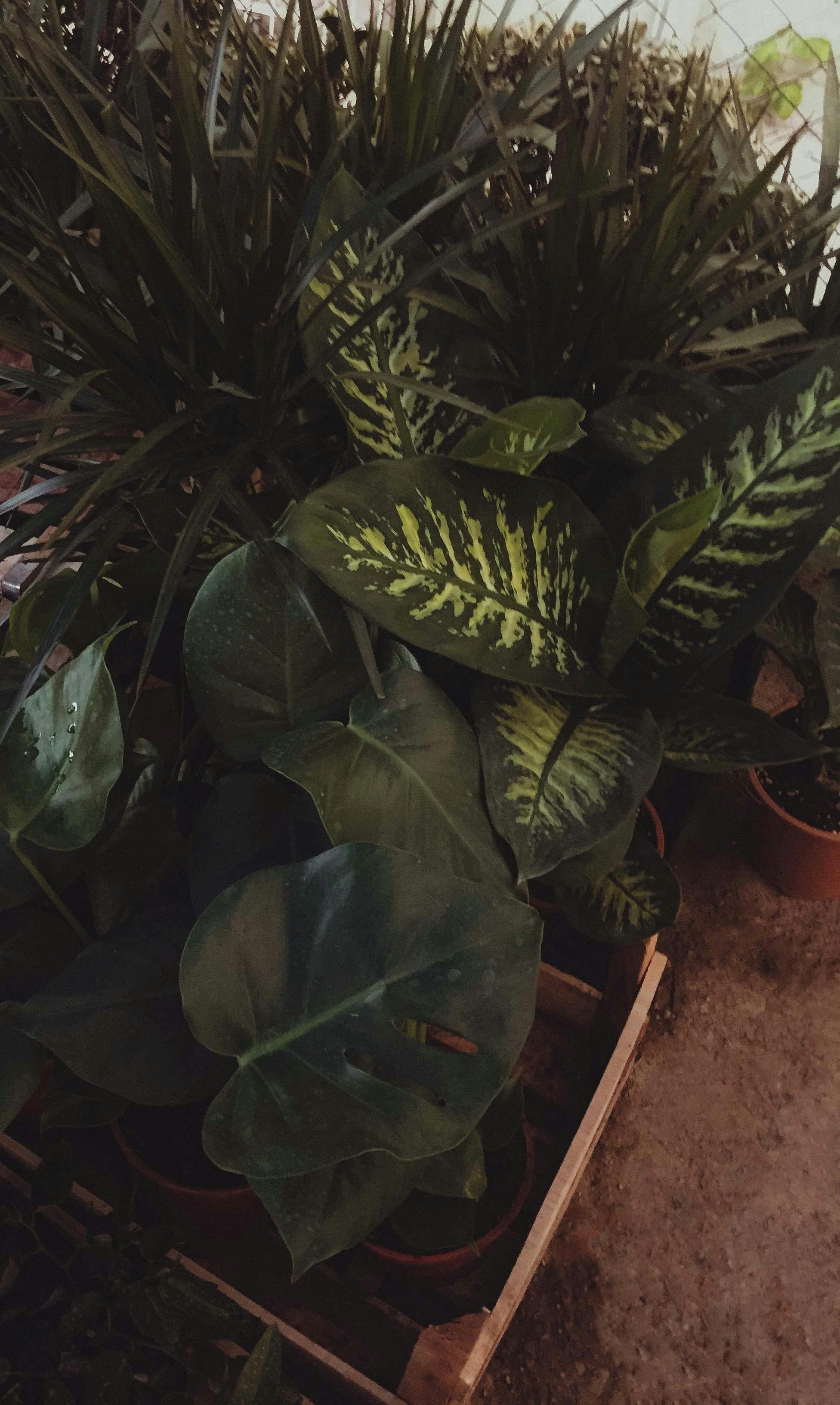 NUR DOĞAN - Photography