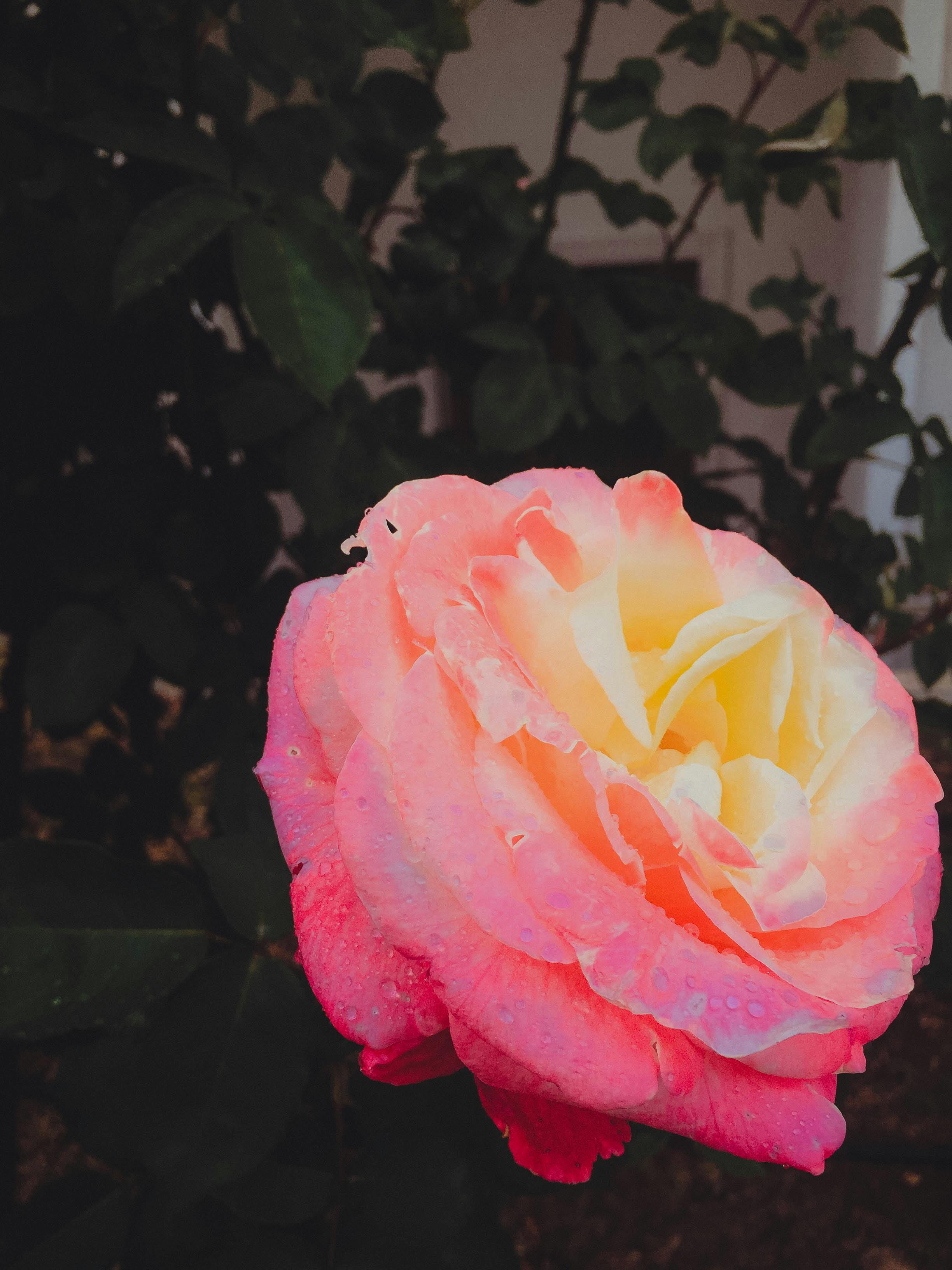 NUR DOĞAN - Photography