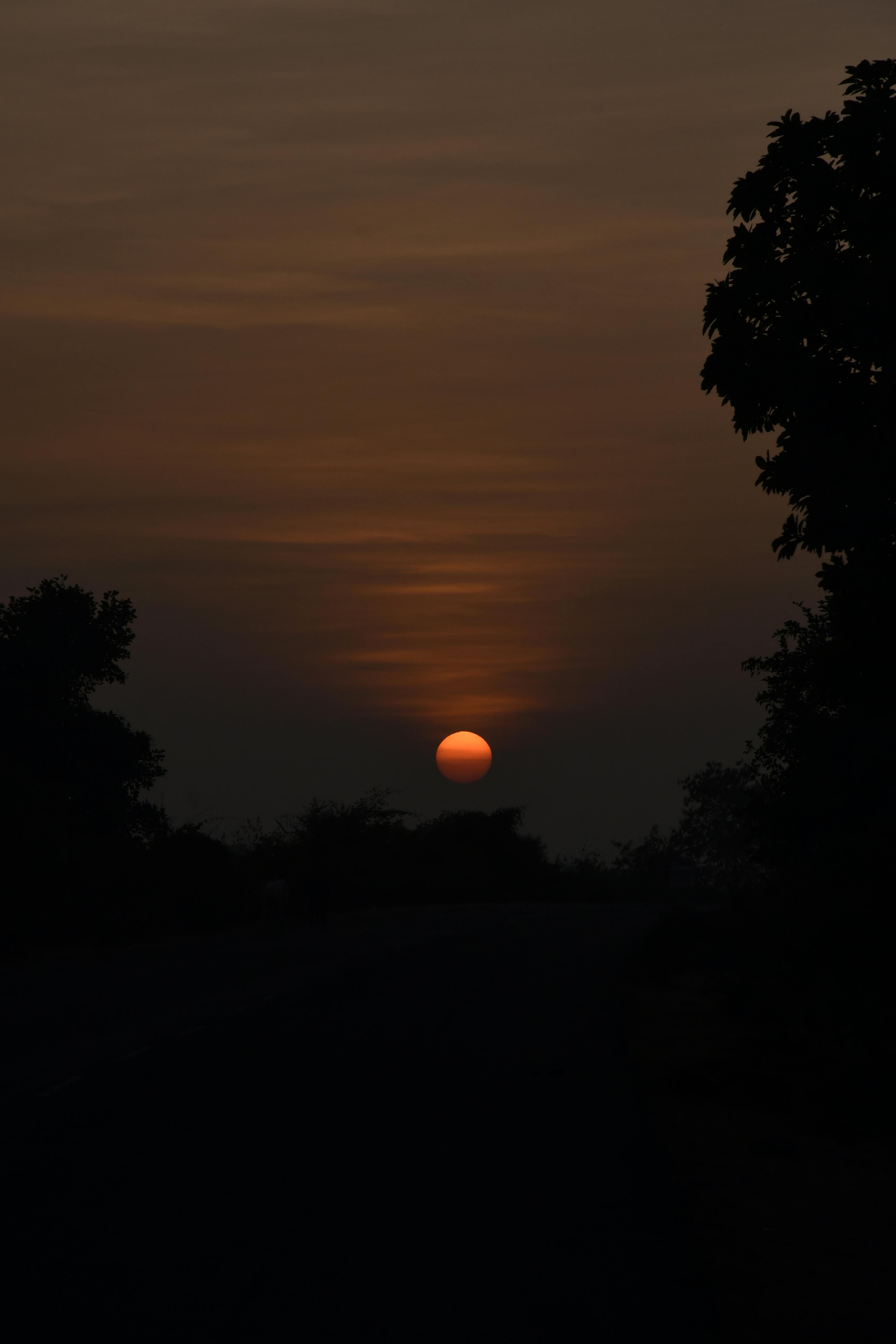 Sun Spotlight Photos, Download The BEST Free Sun Spotlight Stock Photos ...