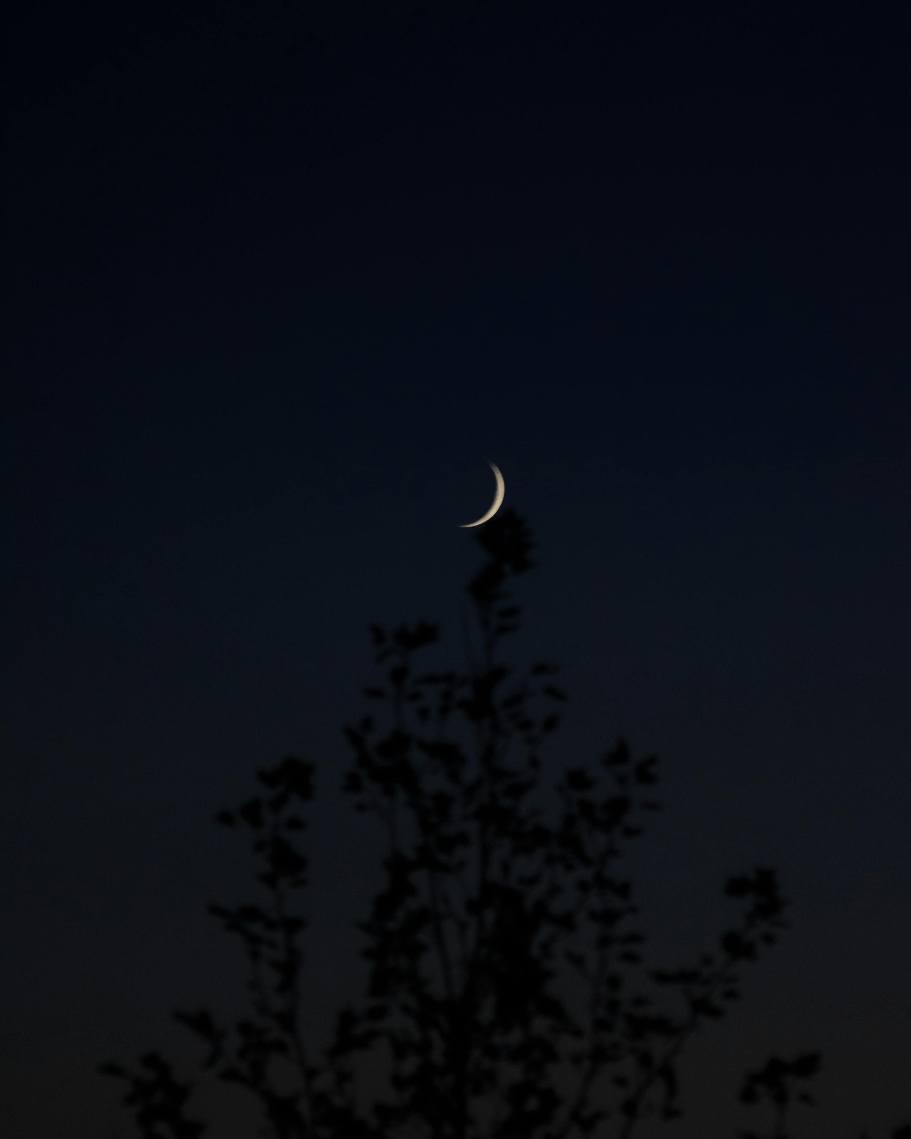 Bulan Purnama Di Langit Malam Gelap · Foto Stok Gratis