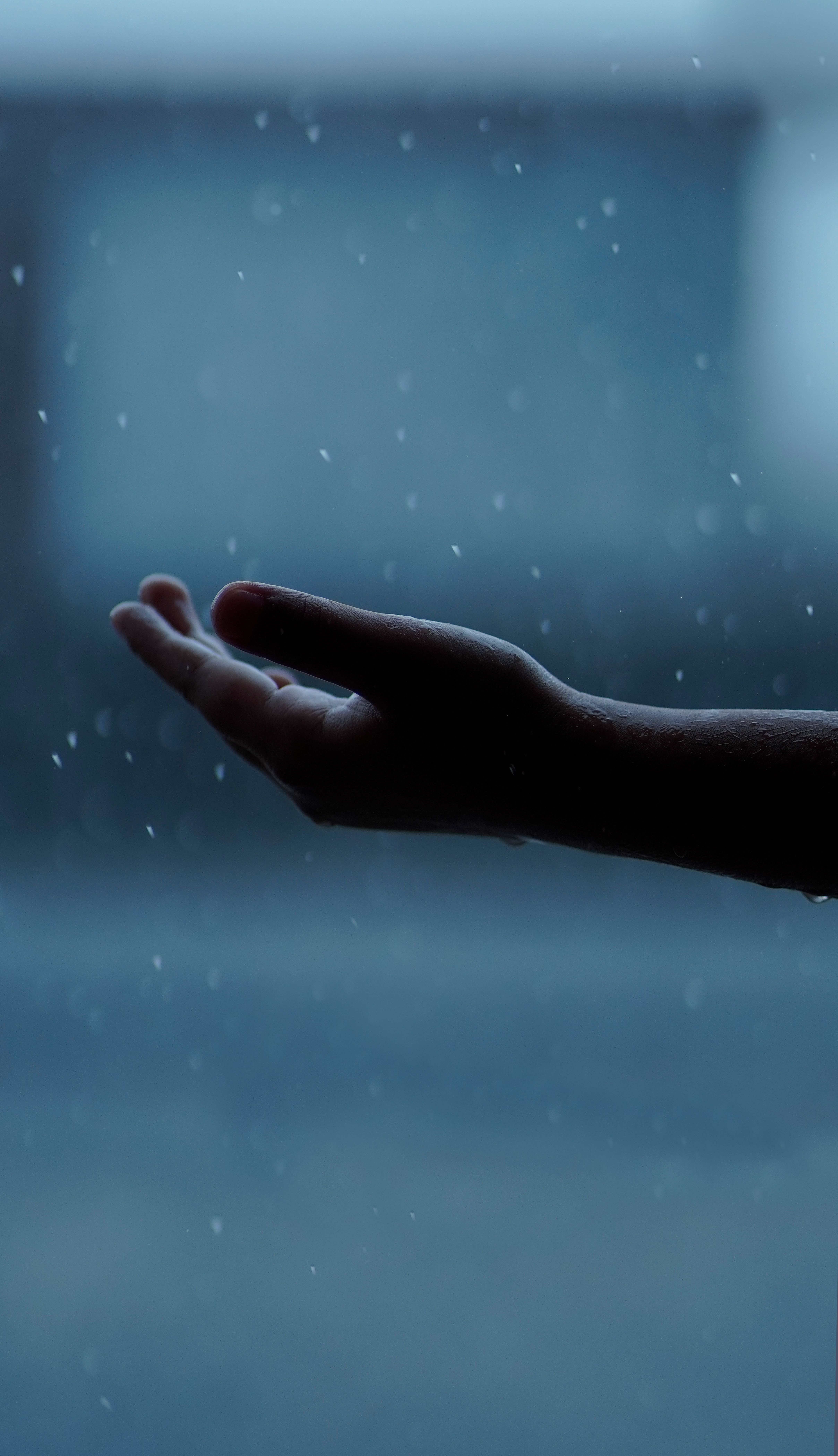 Hand Catching Snow · Free Stock Photo