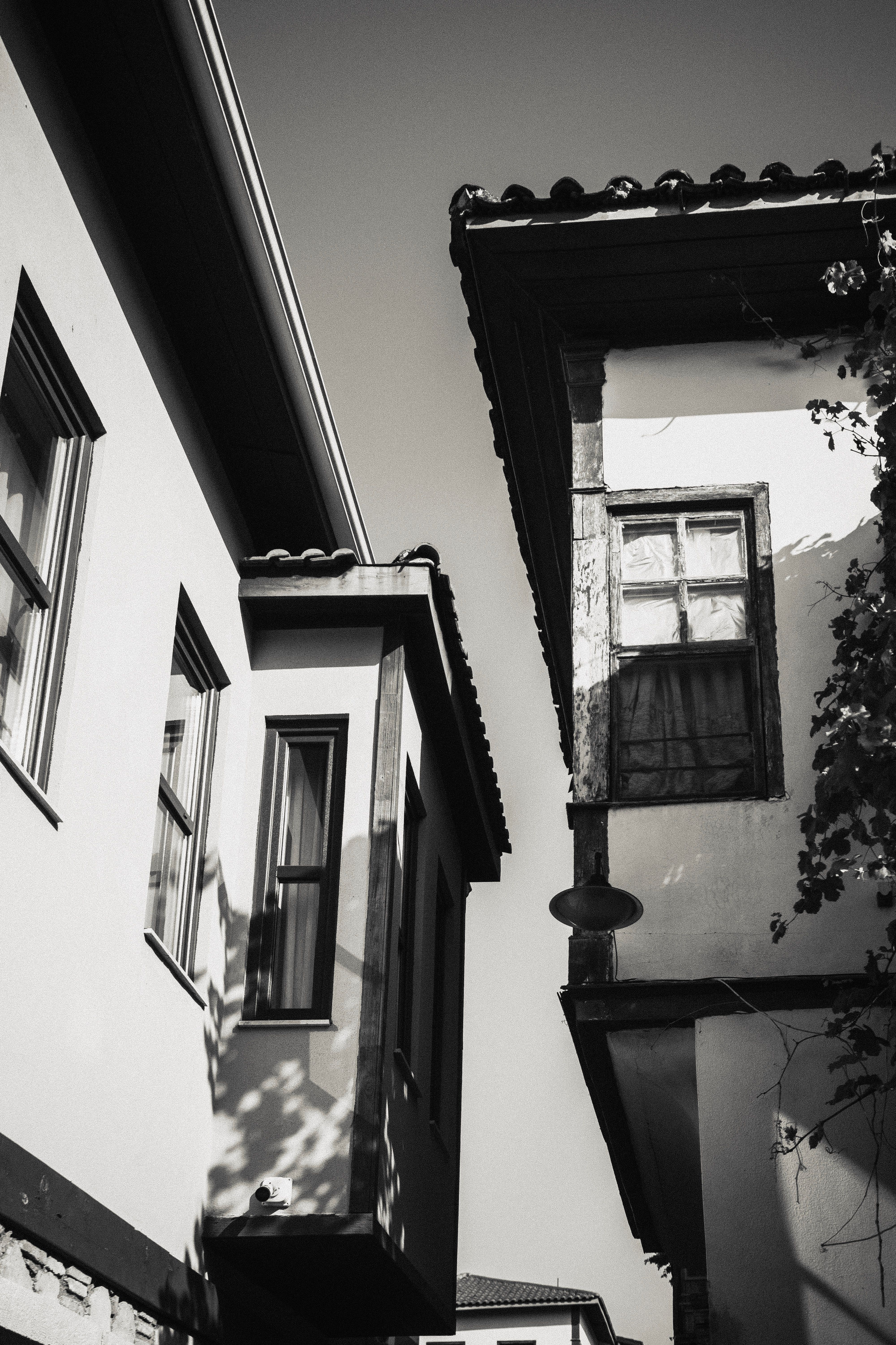 Black and White Picture of Traditional Turkish Houses · Free Stock Photo