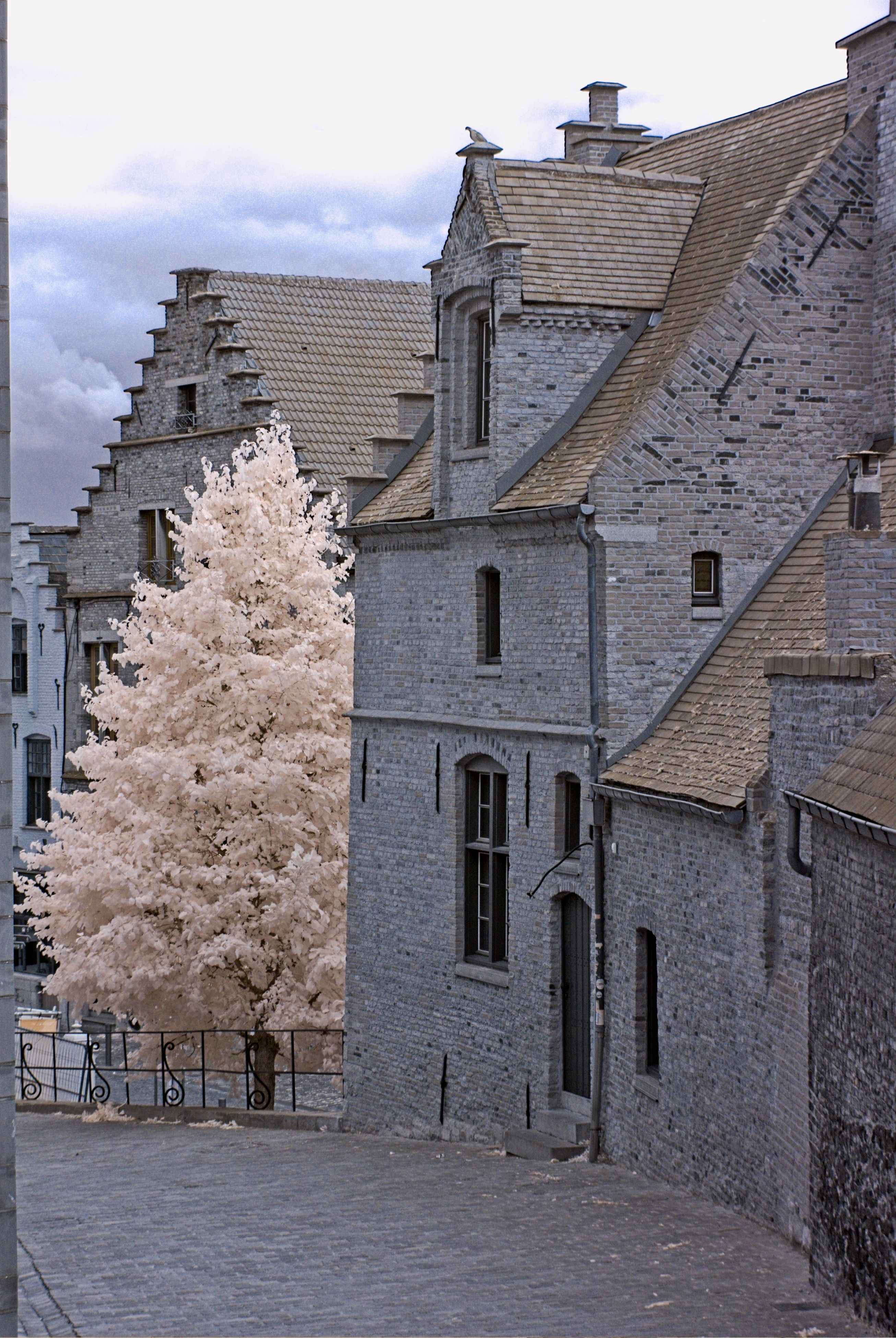 Gothic Building in Mons · Free Stock Photo