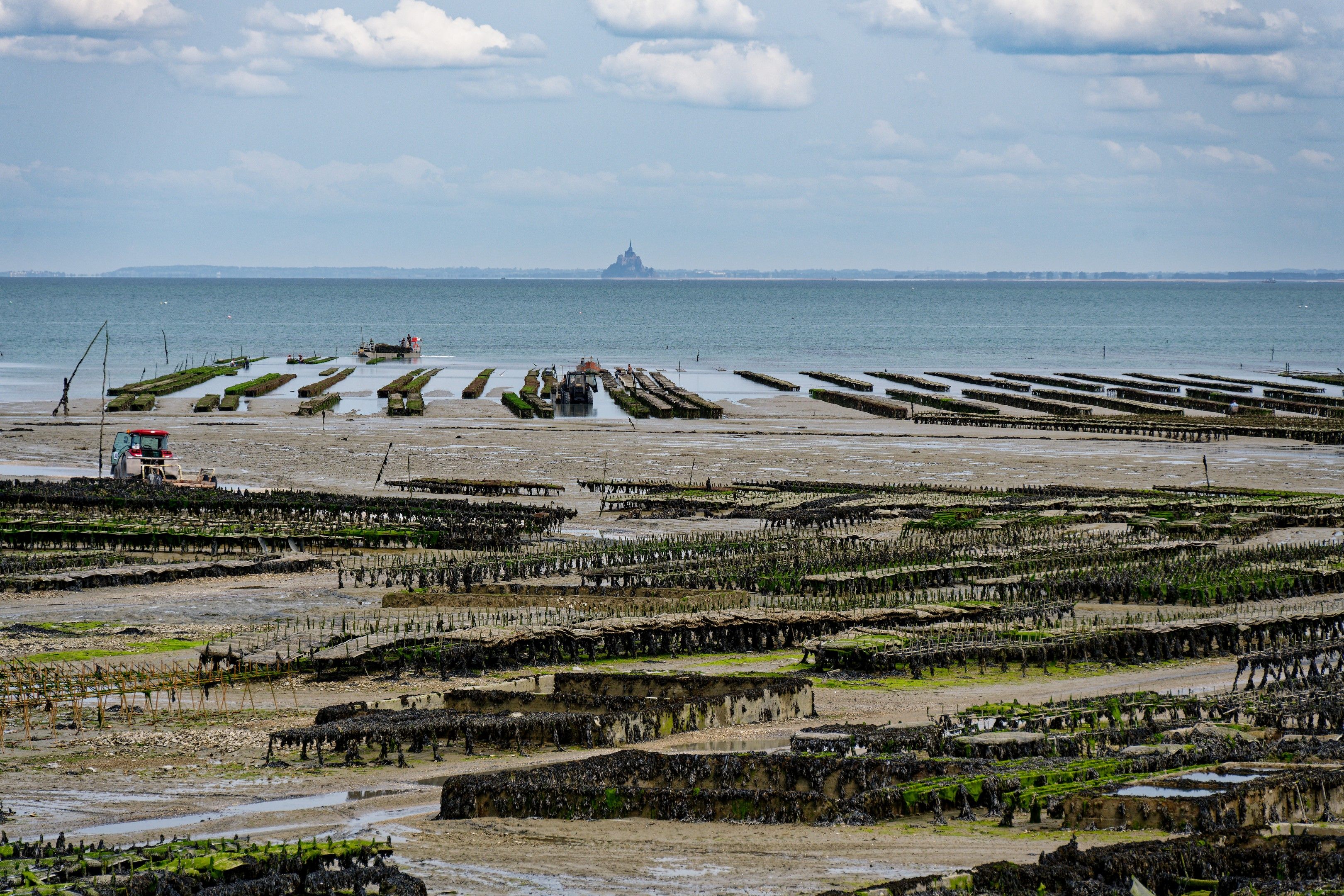 Oyster Farming Boats Photos, Download The BEST Free Oyster Farming ...