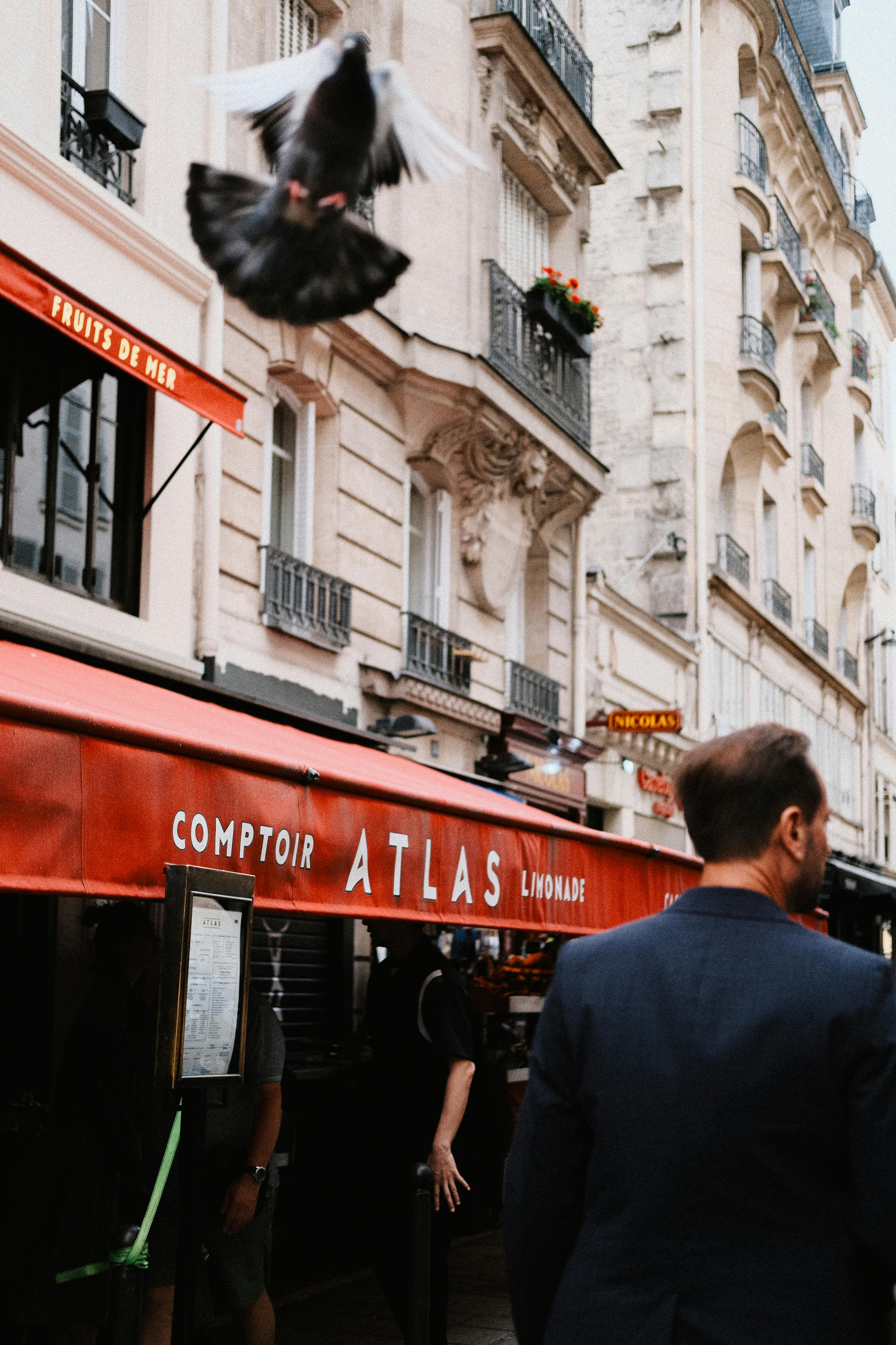 Overhang of Restaurant in Paris · Free Stock Photo