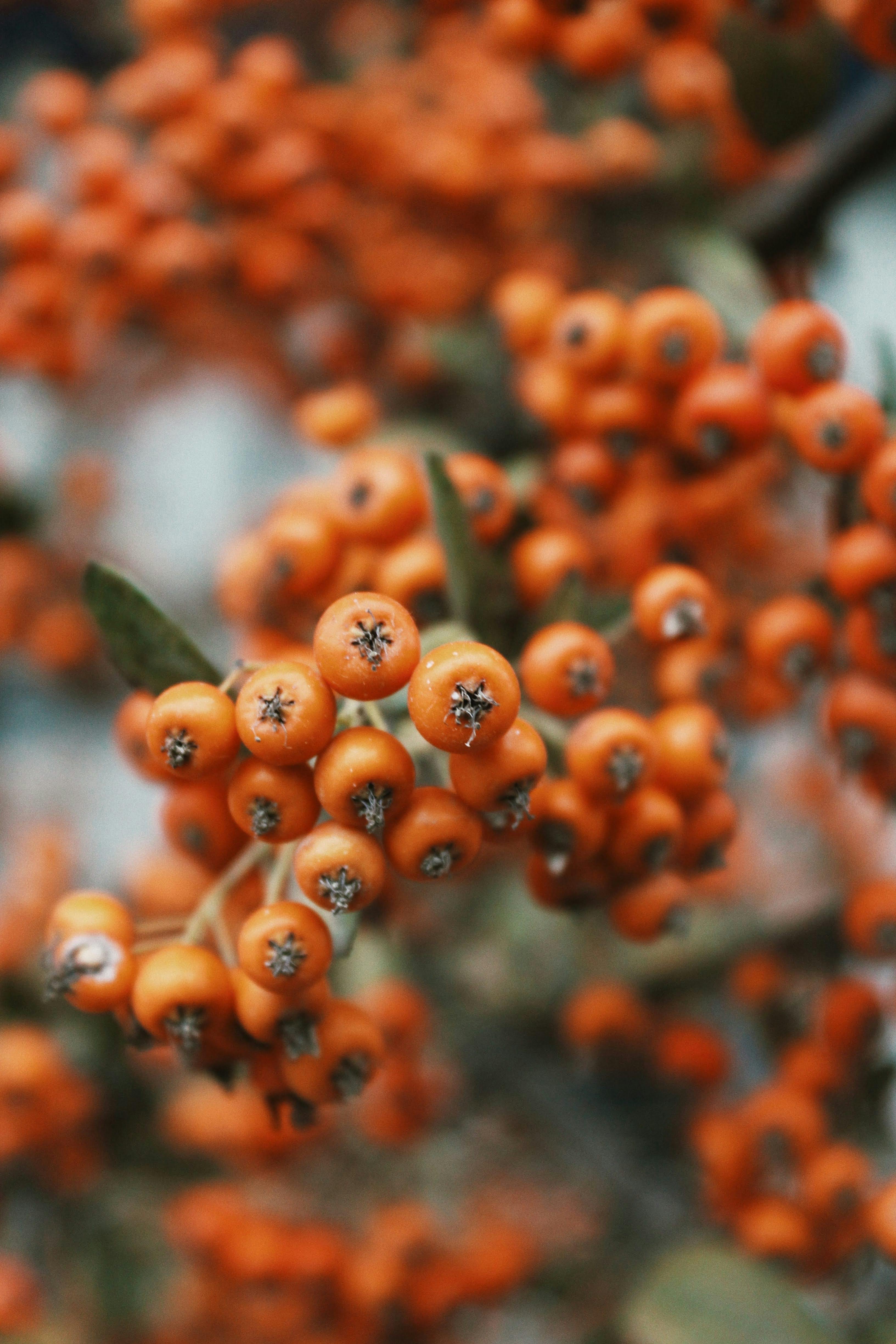 John Rowan Photos, Download The BEST Free John Rowan Stock Photos & HD ...