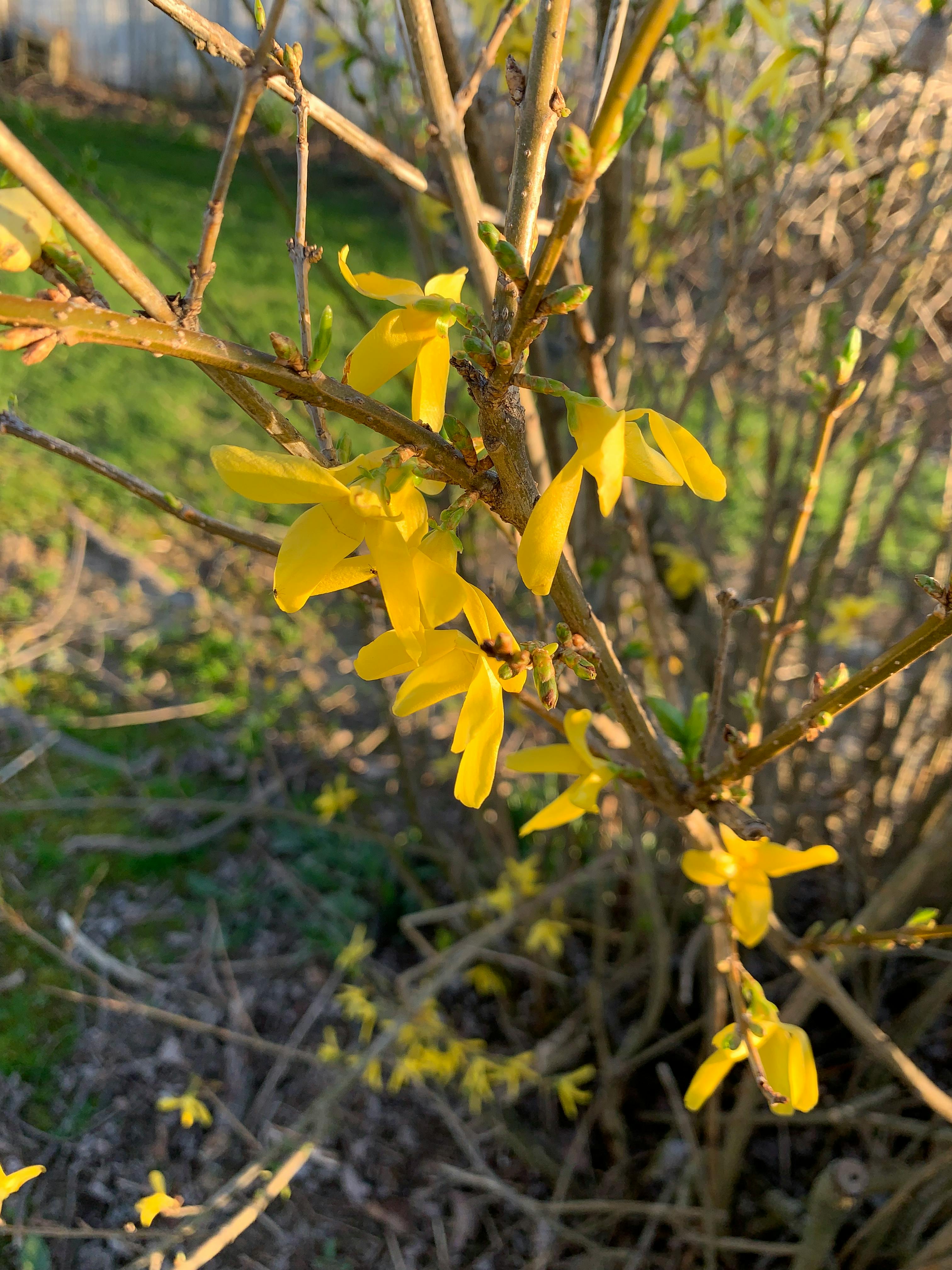 Leslie Saunders - 摄影