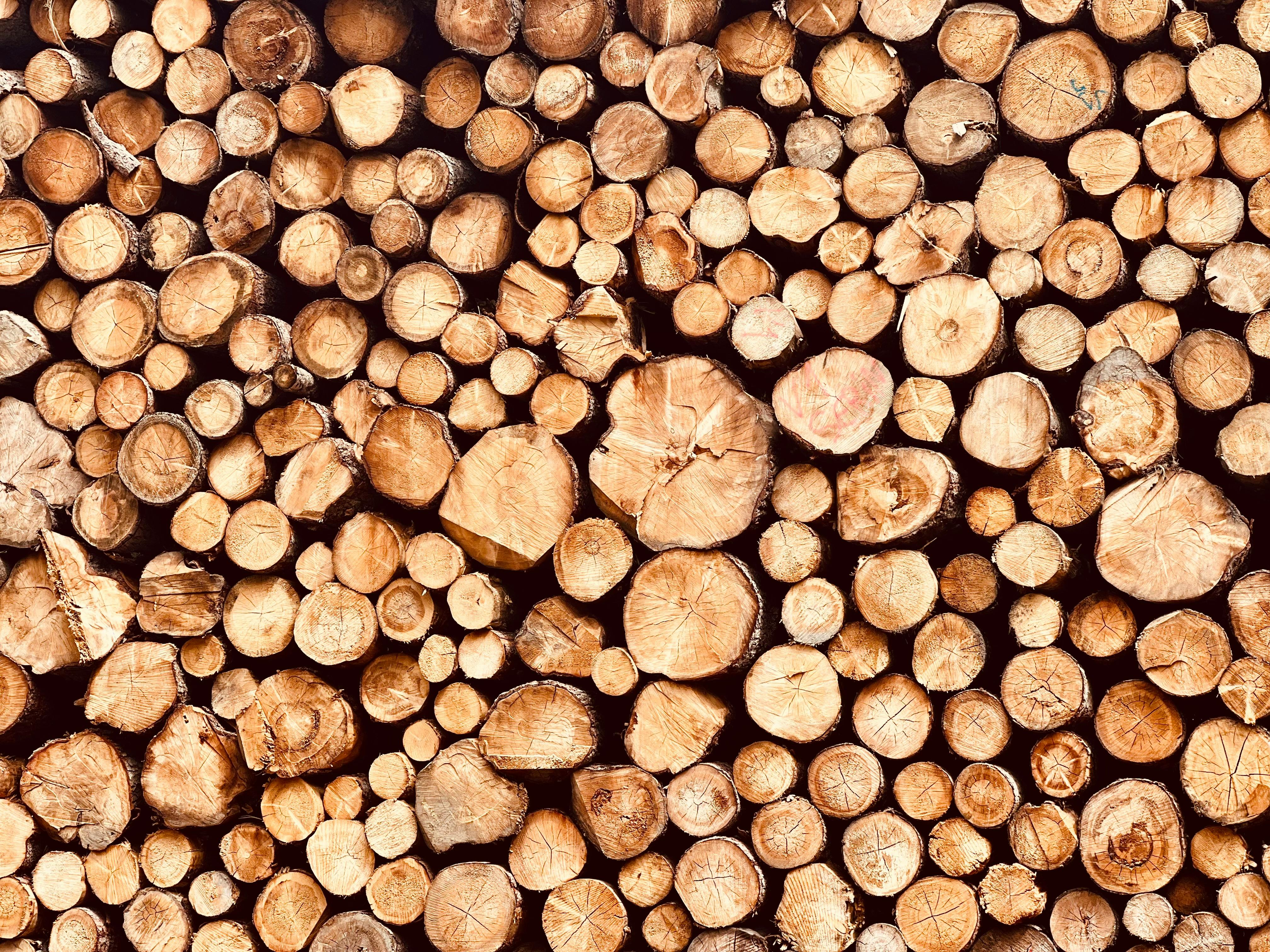 Stack of dry logs in countryside · Free Stock Photo