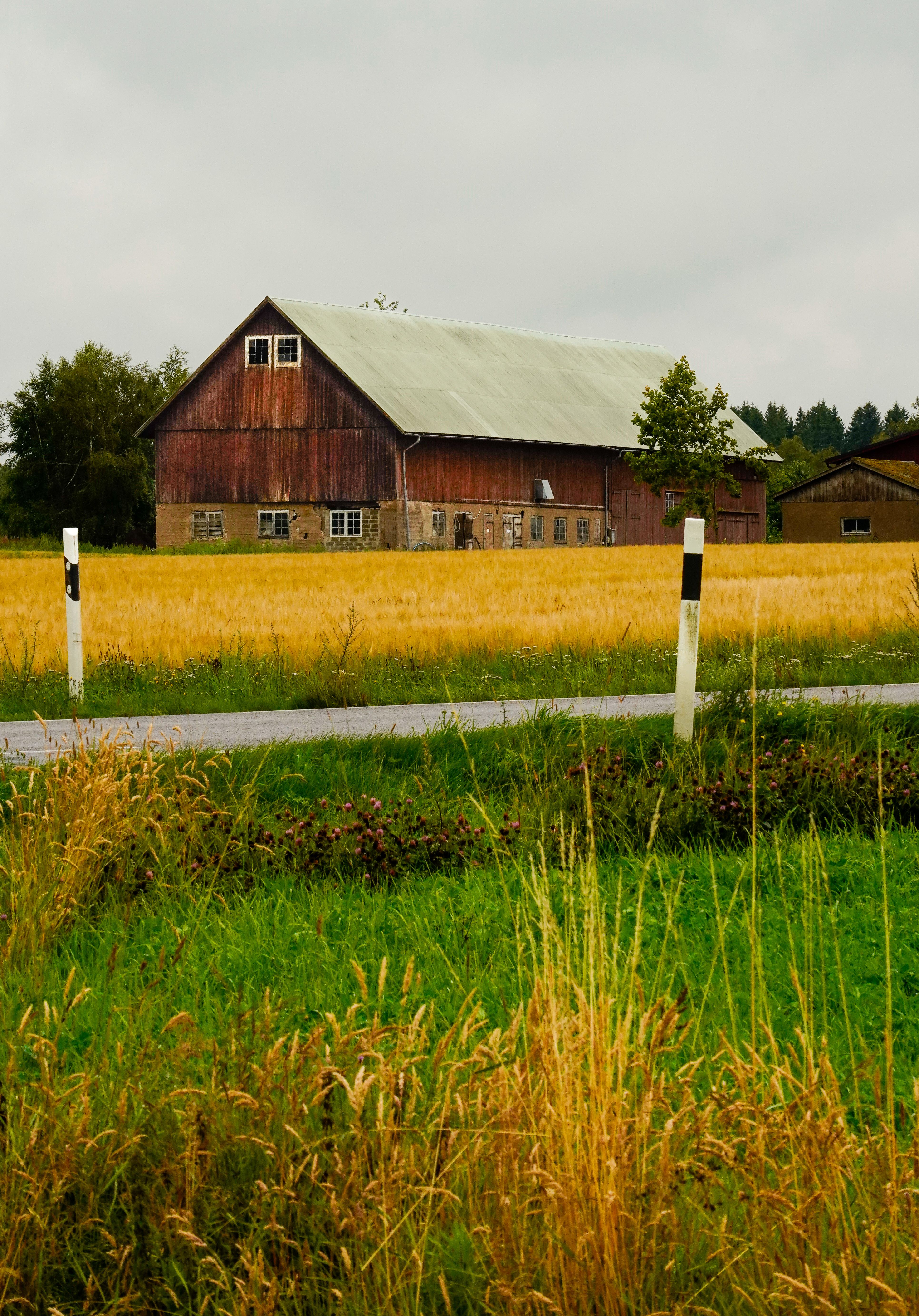 Large Barn Seen From Roadside in Countryside · Free Stock Photo