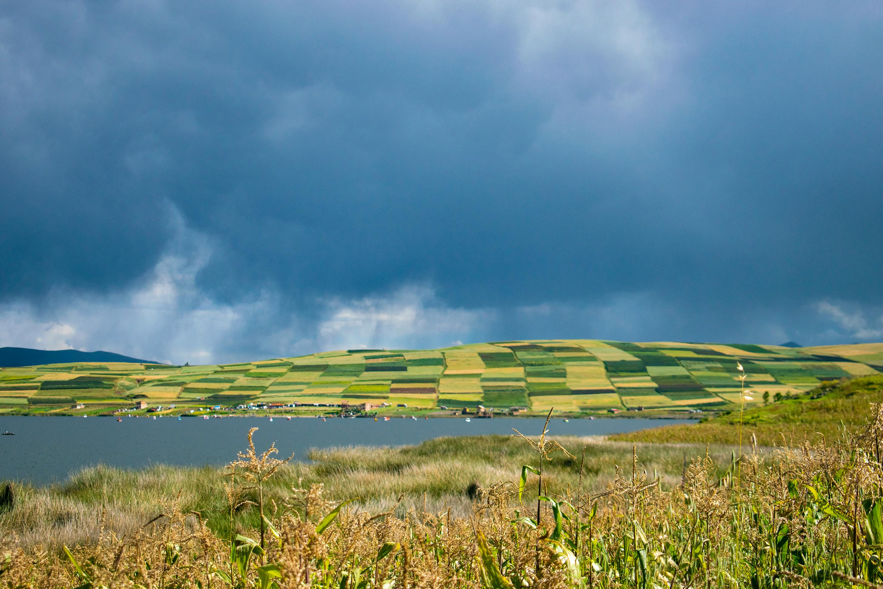 Fields by the Lake · Free Stock Photo