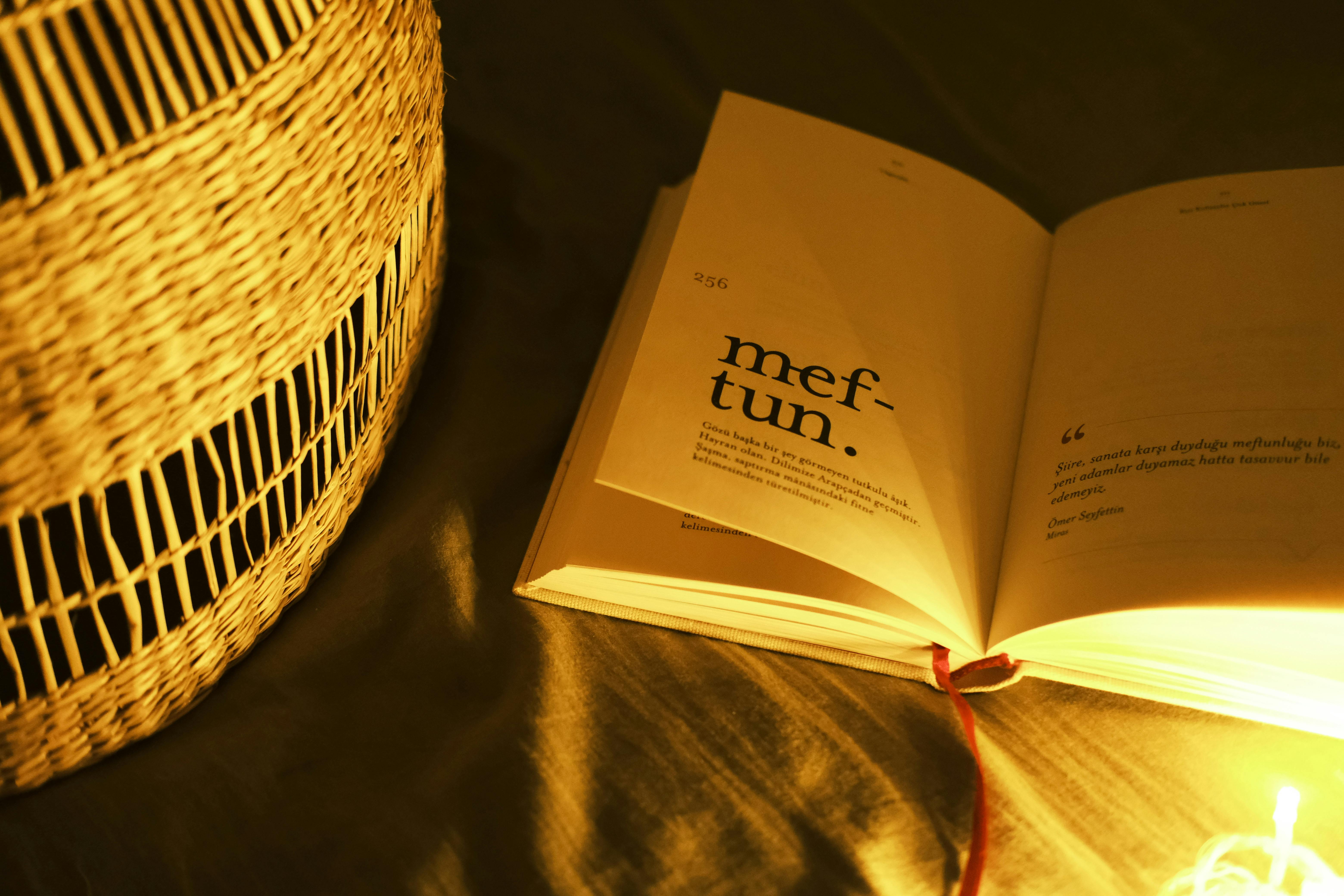 Open Book Pages · Free Stock Photo