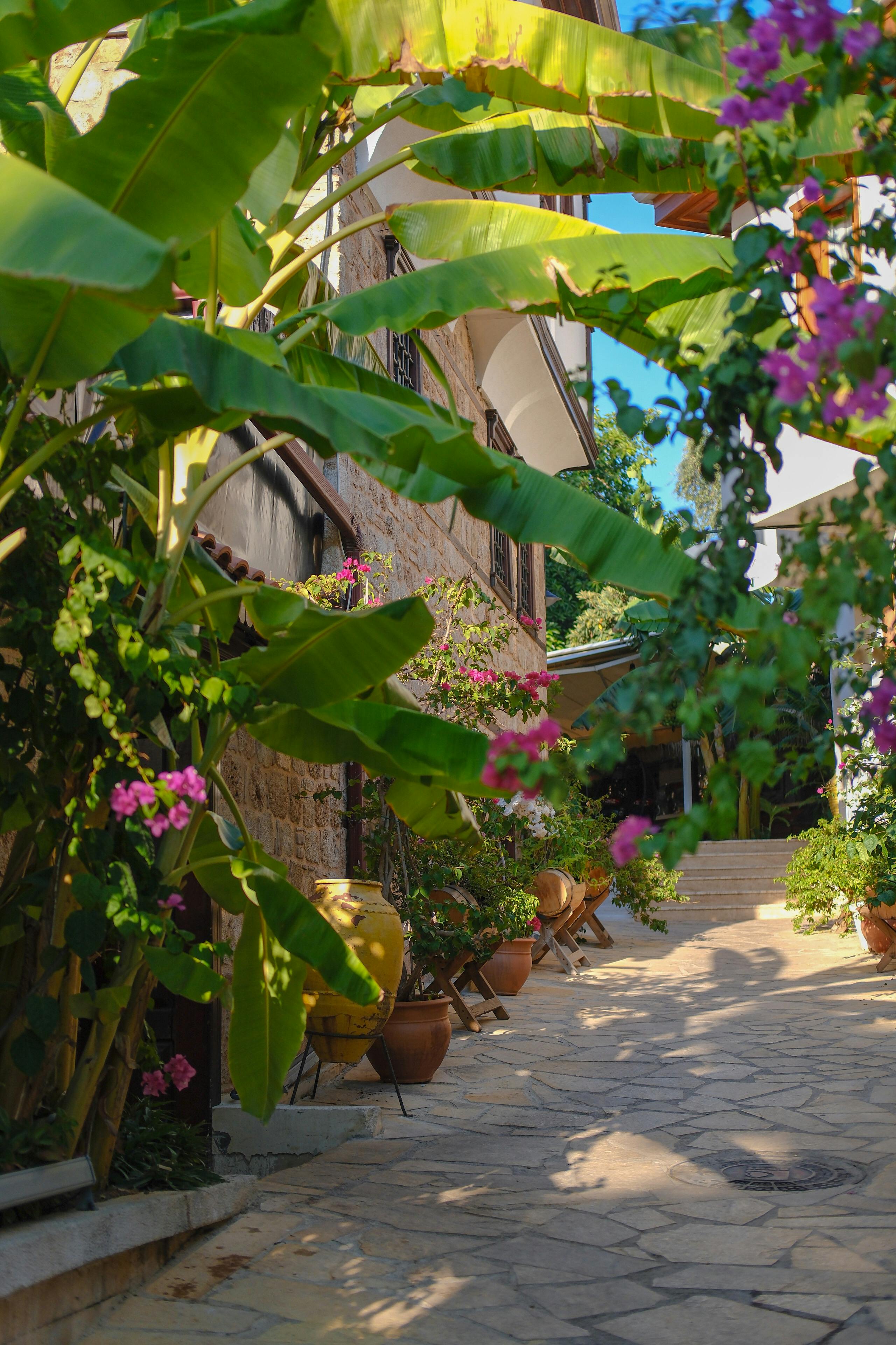 Working In Nature Photos, Download The BEST Free Working In Nature ...