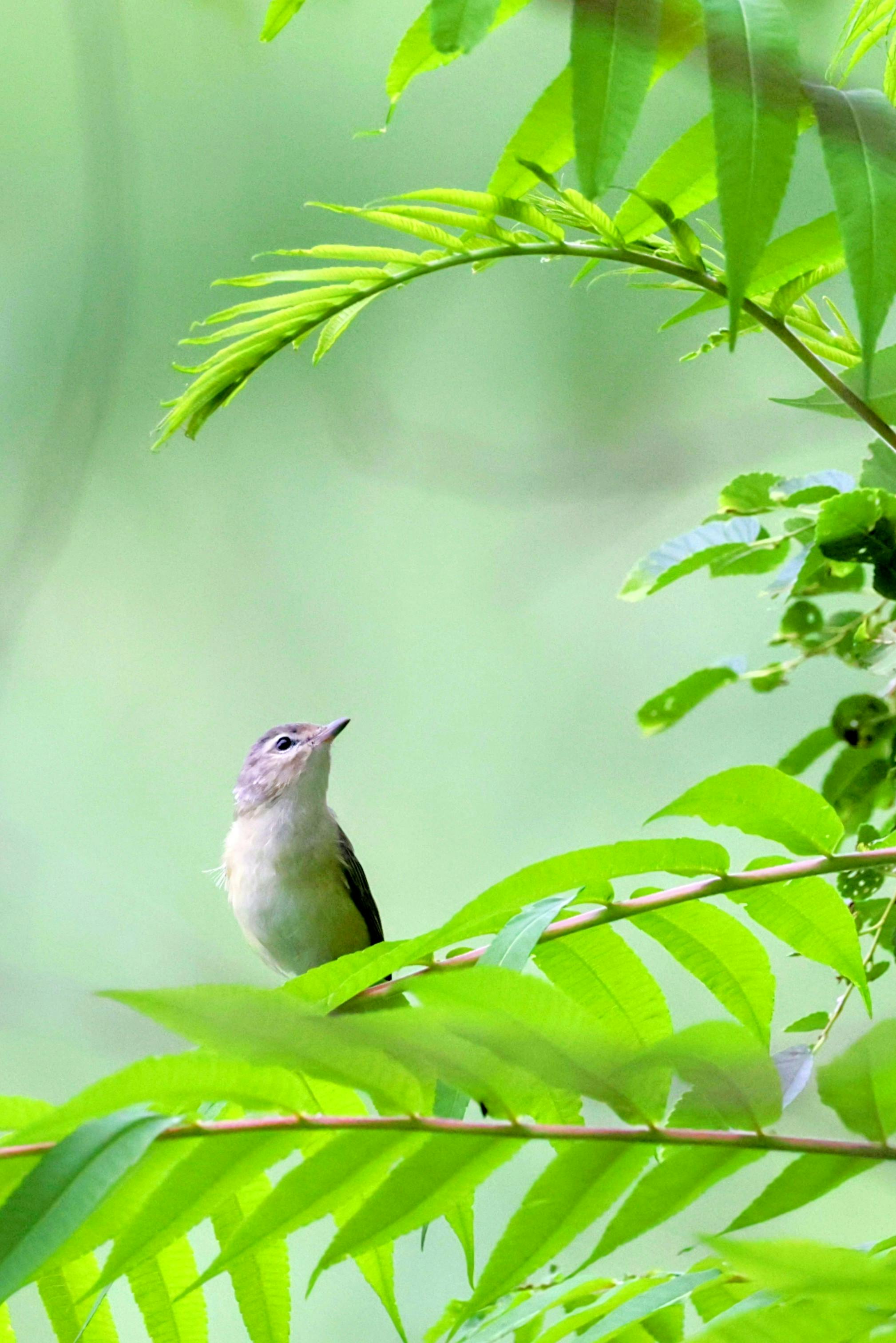 teyi 徐 - Fotografía
