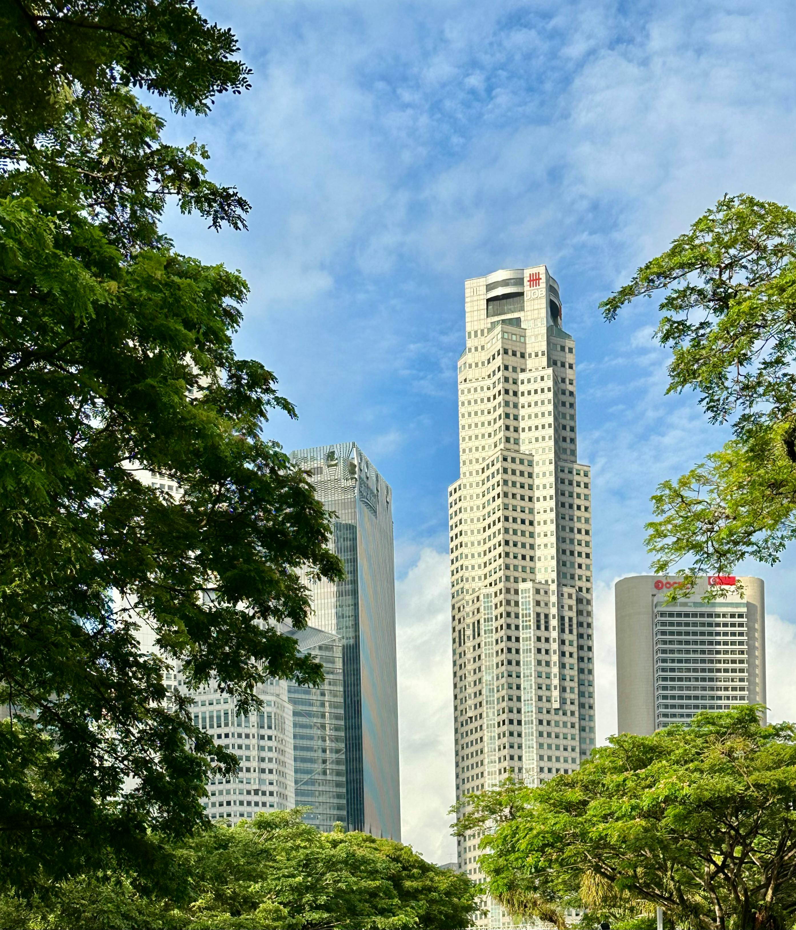 Alex Chew - Fotoğrafçılık