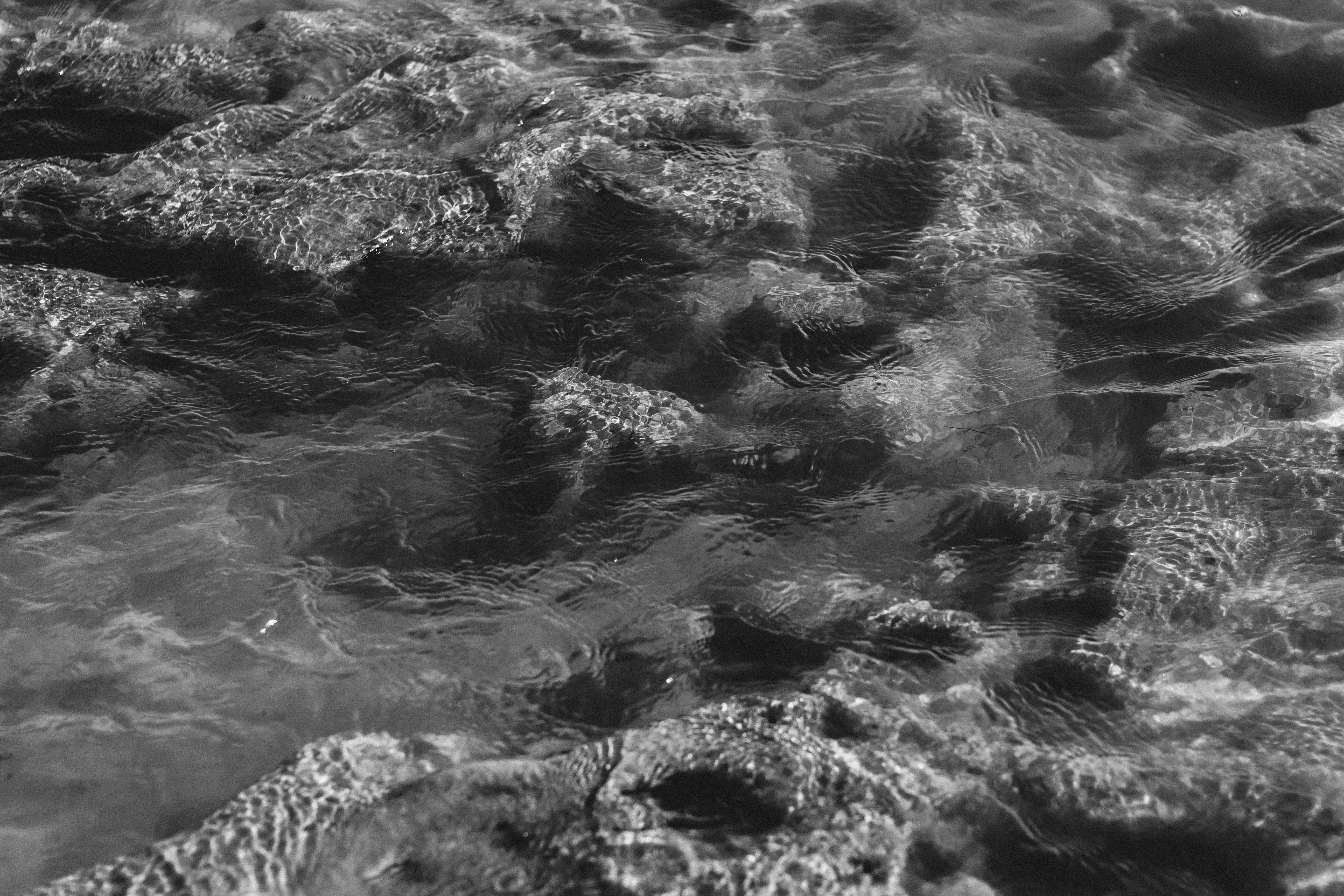 Shallow Water on Sea Shore · Free Stock Photo