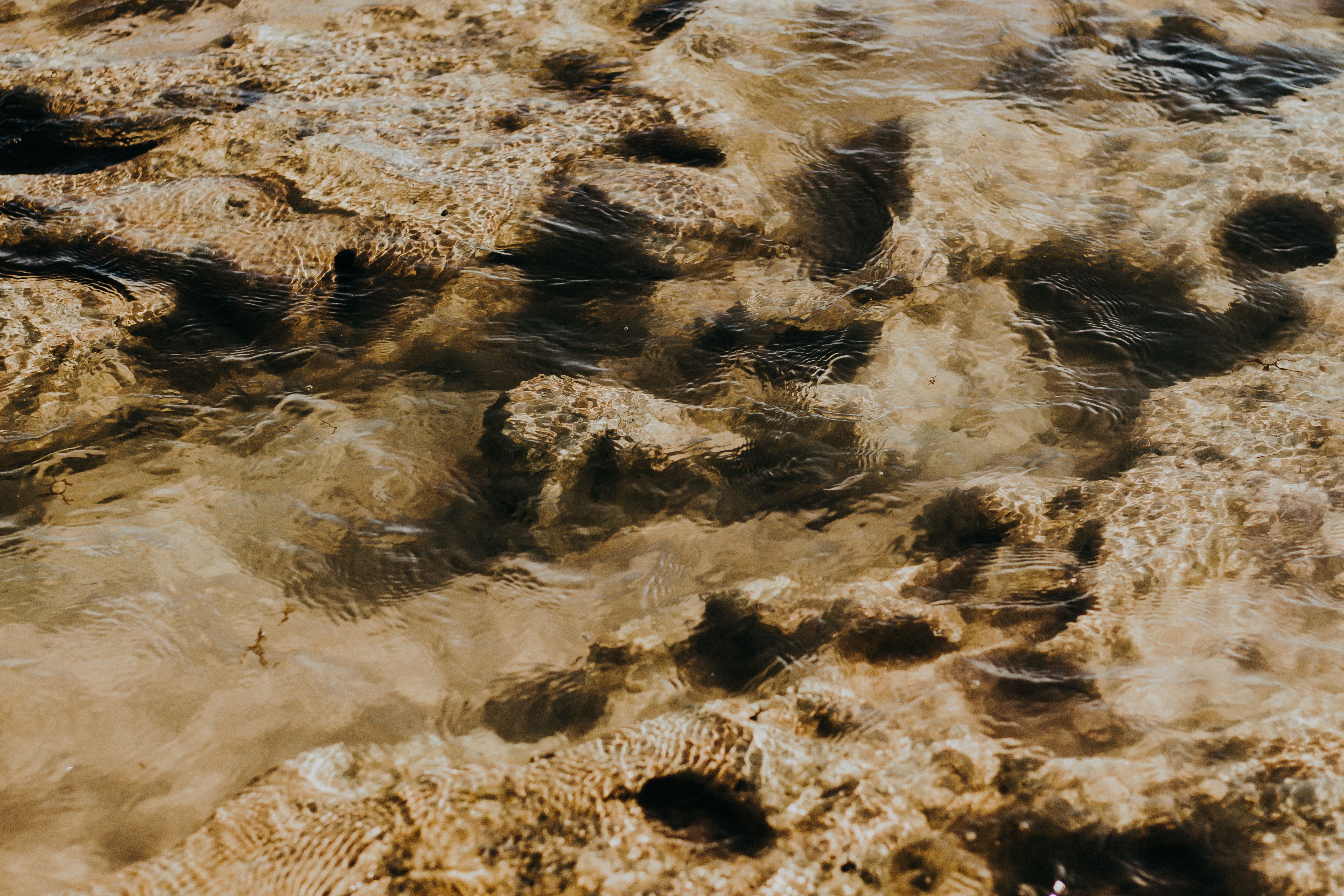 Stones on Shallow Stream · Free Stock Photo