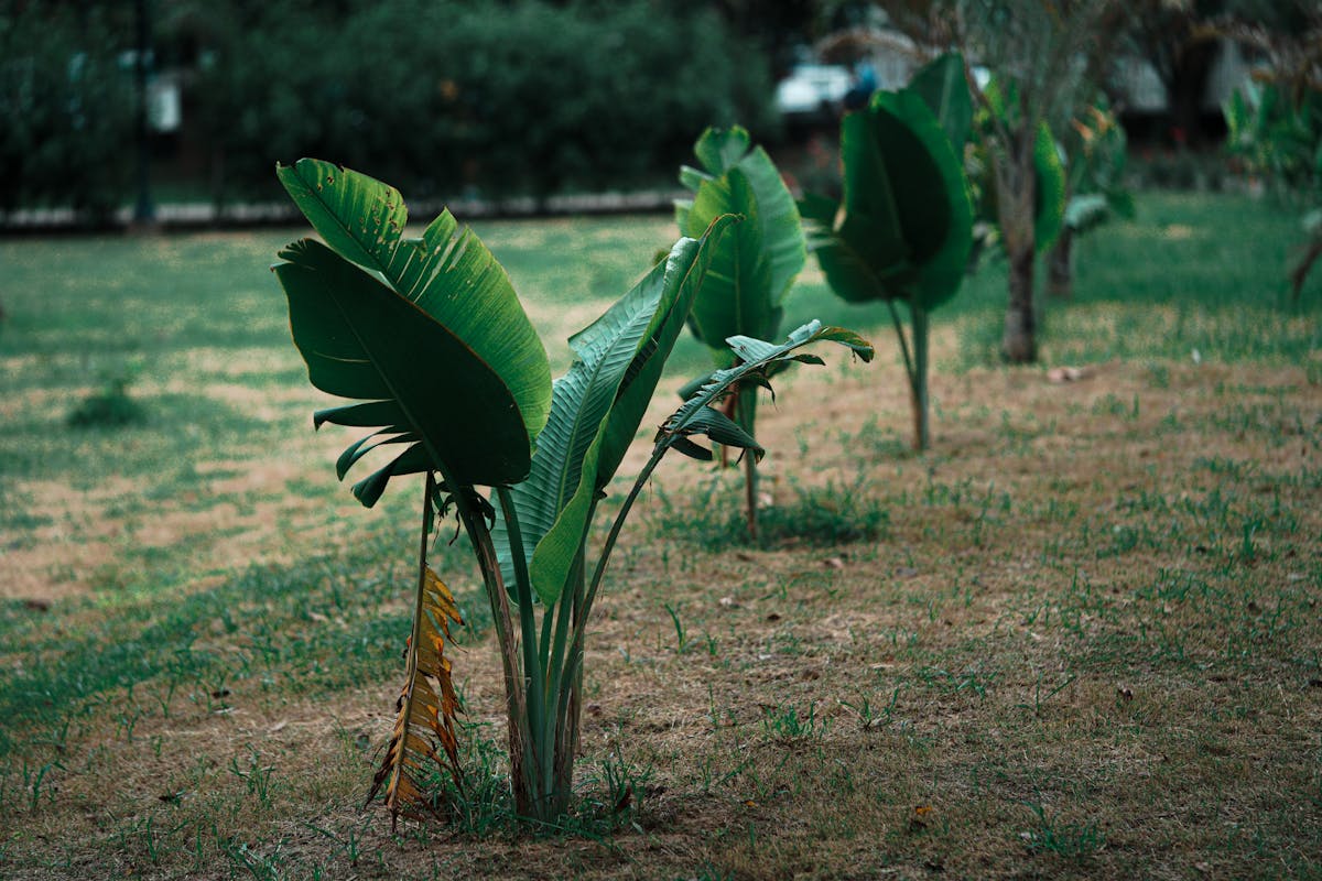 Non Color Graded Photos Photos, Download The BEST Free Non Color Graded ...