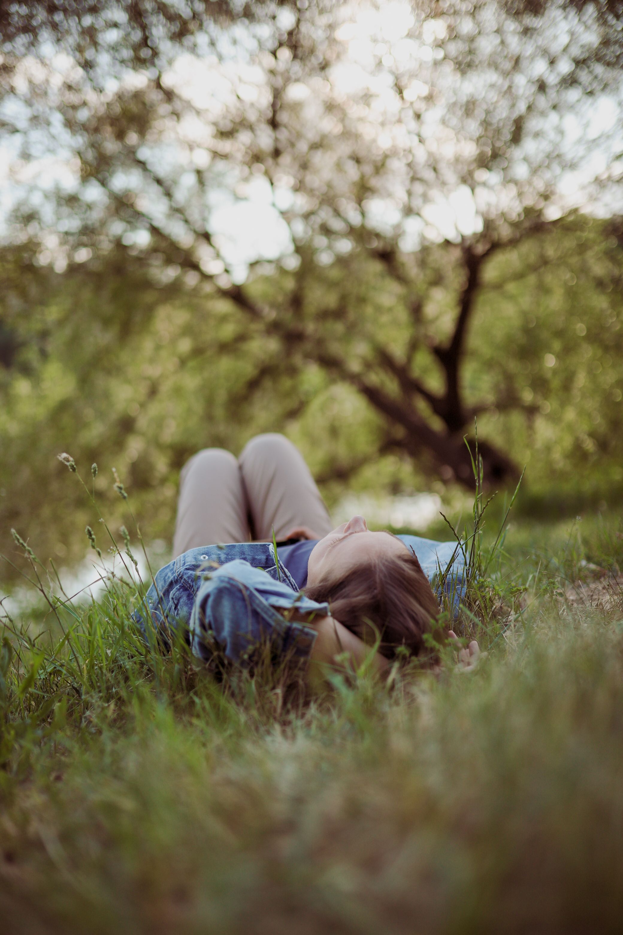 Laying In The Grass Photos, Download The BEST Free Laying In The Grass ...
