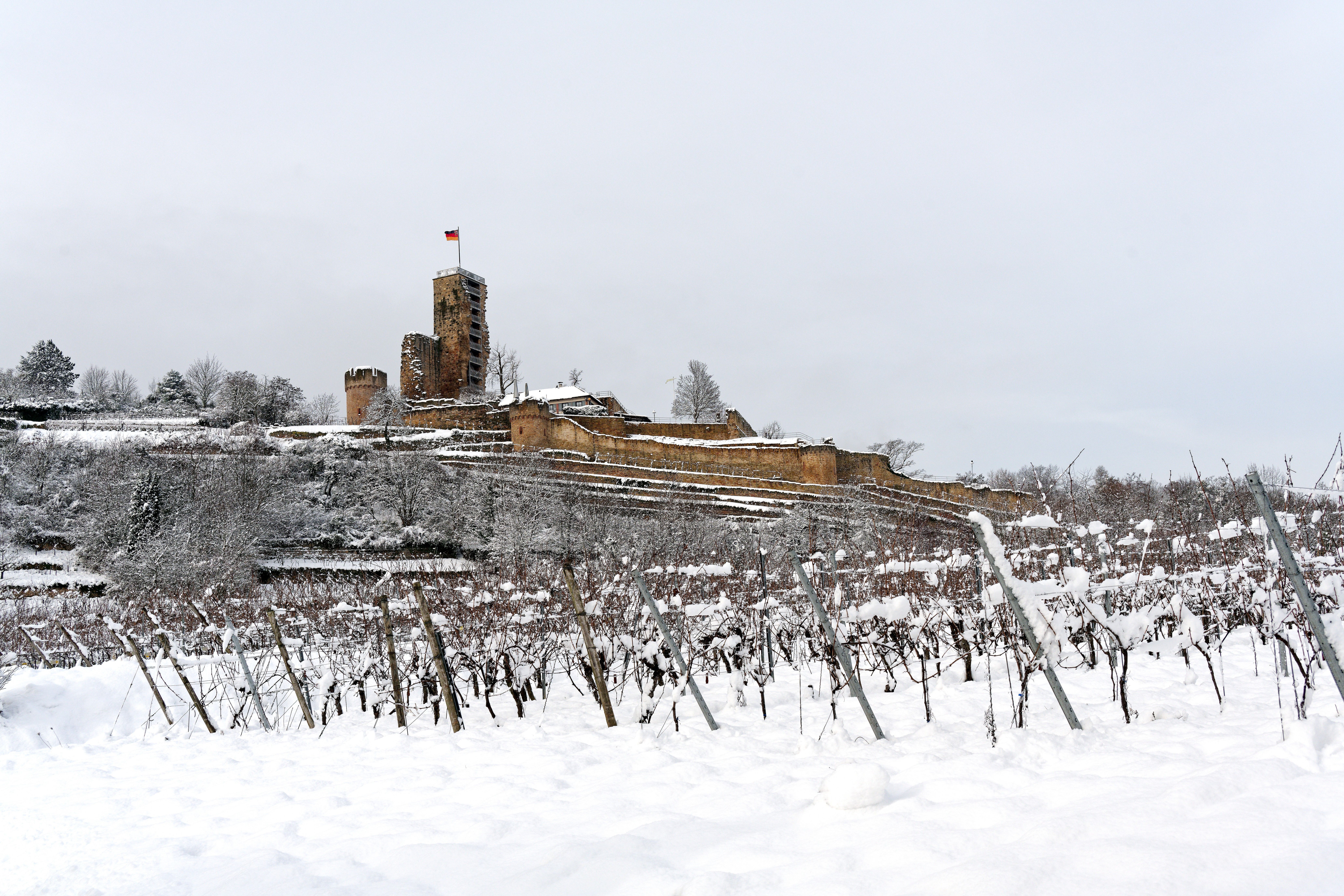 Snow on Field with Castle Ruins behind · Free Stock Photo