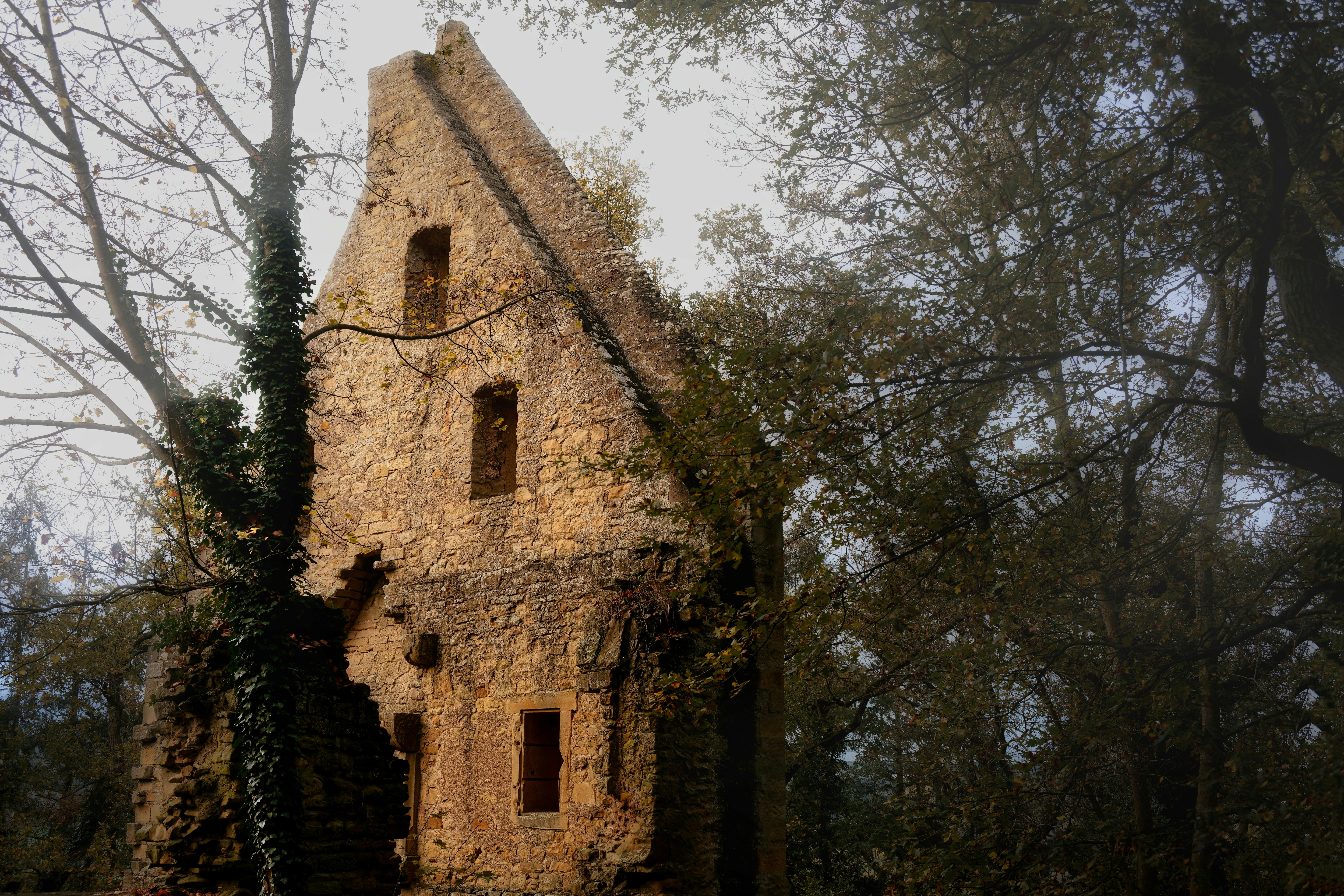 Abandoned Stone Building in Forest · Free Stock Photo