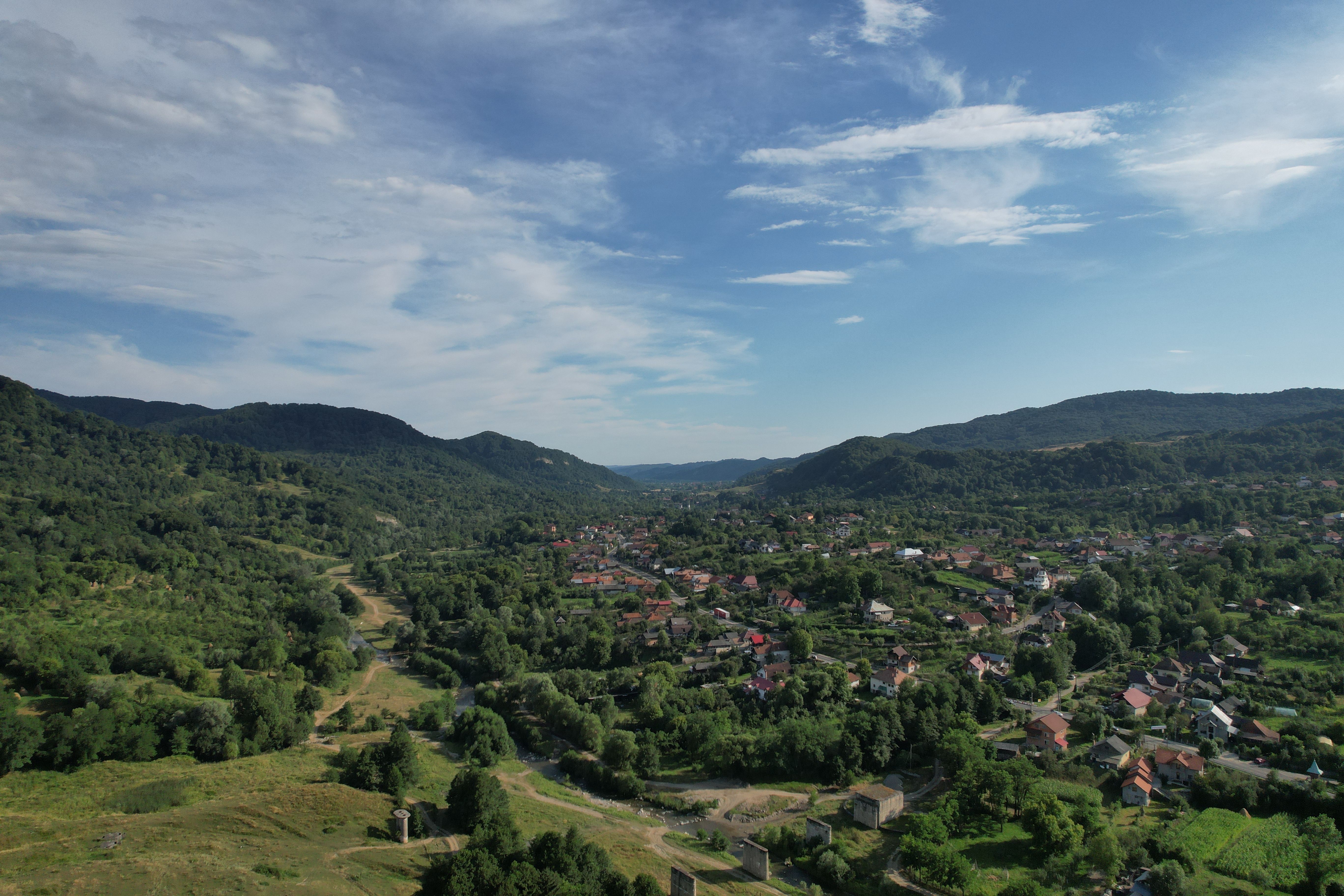 Trees and Town on Plains · Free Stock Photo